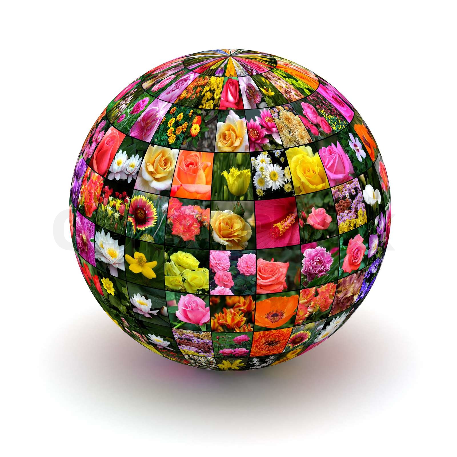 Planet flowers | Stock image | Colourbox