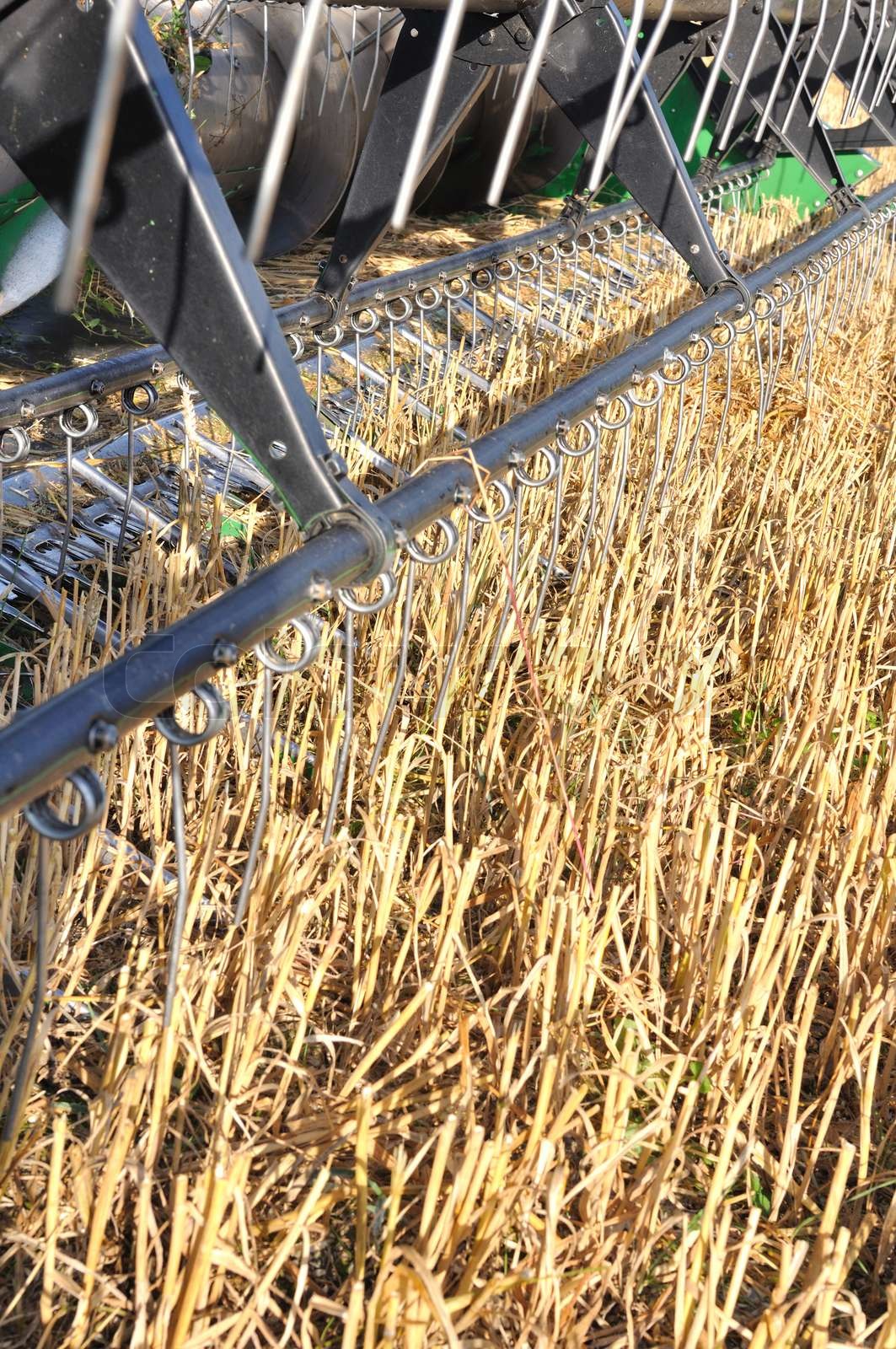 cutting a field of wheat | Stock image | Colourbox