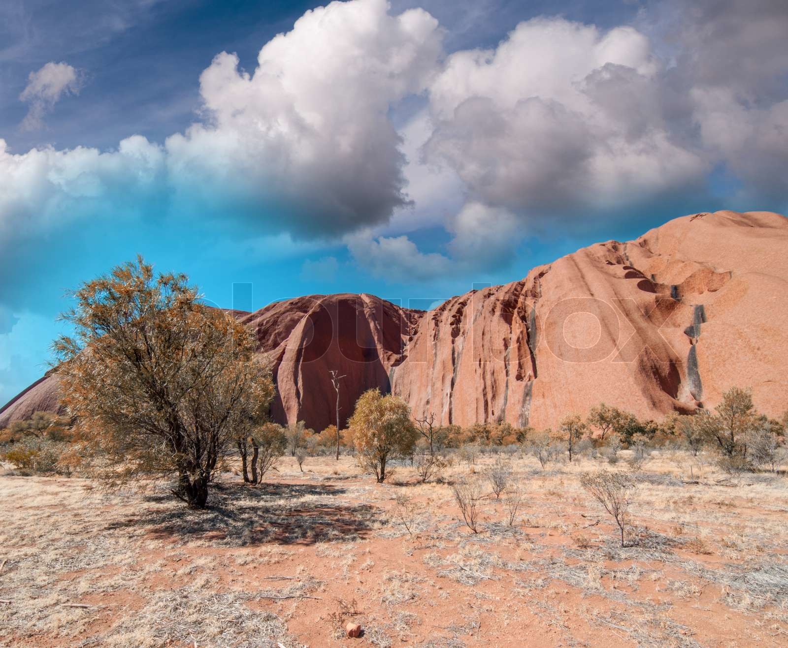 Australian Outback colors in august | Stock image | Colourbox