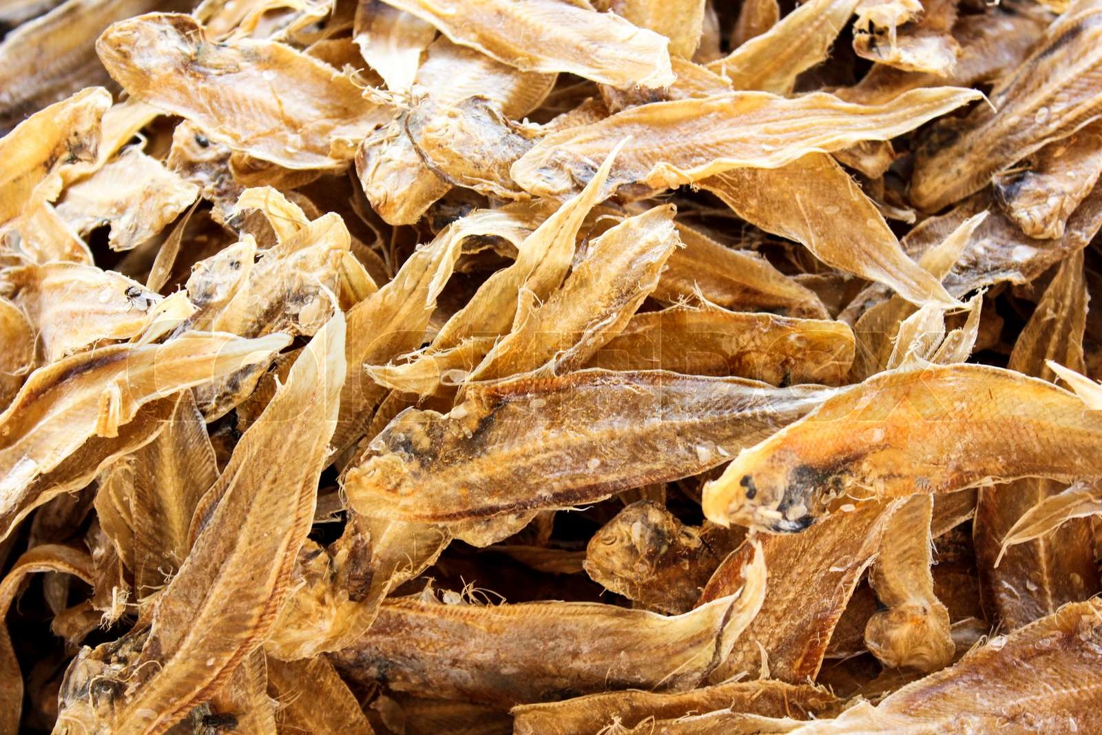 dried small fish in the thai market | Stock image | Colourbox