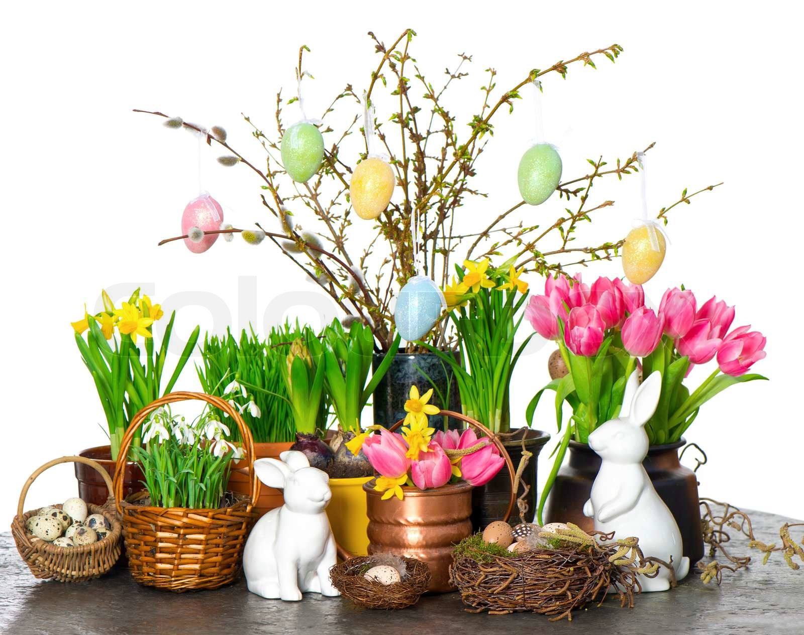 Frühlingsblumen mit Ostern Osterhase und Eiern Dekoration | Stock Bild ...
