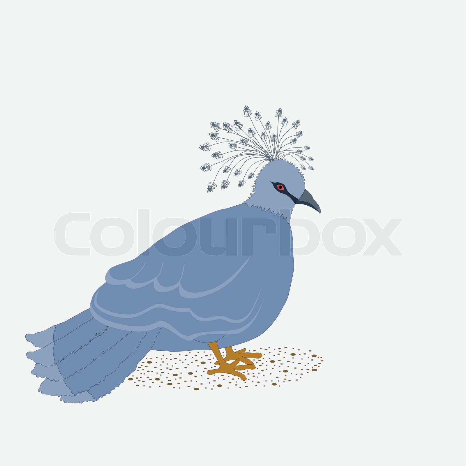 Blue peacock | Stock vector | Colourbox