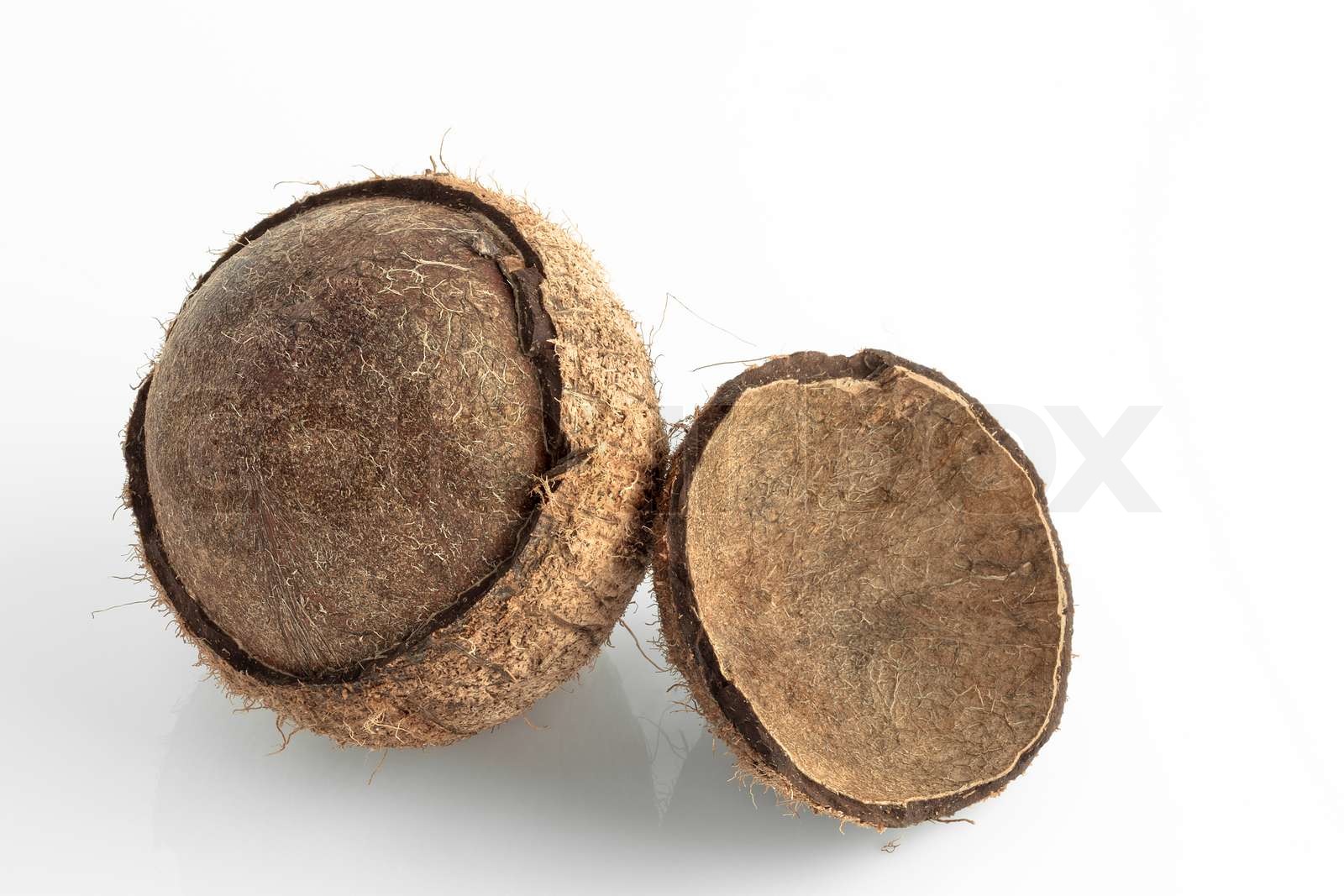 coconut | Stock image | Colourbox