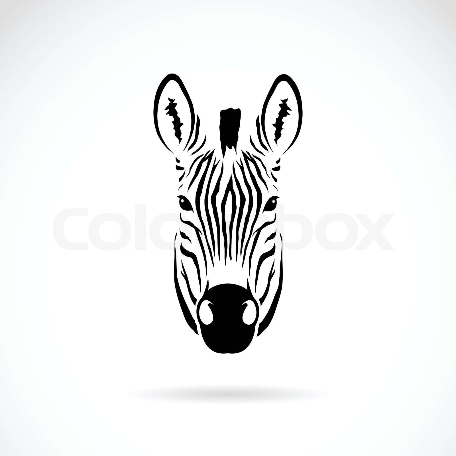 Vector Image Of An Zebra Head Stock Vector Colourbox