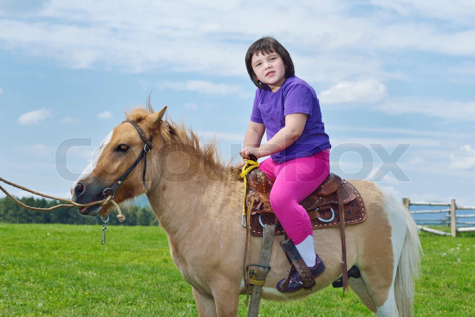 child ride pony | Stock image | Colourbox