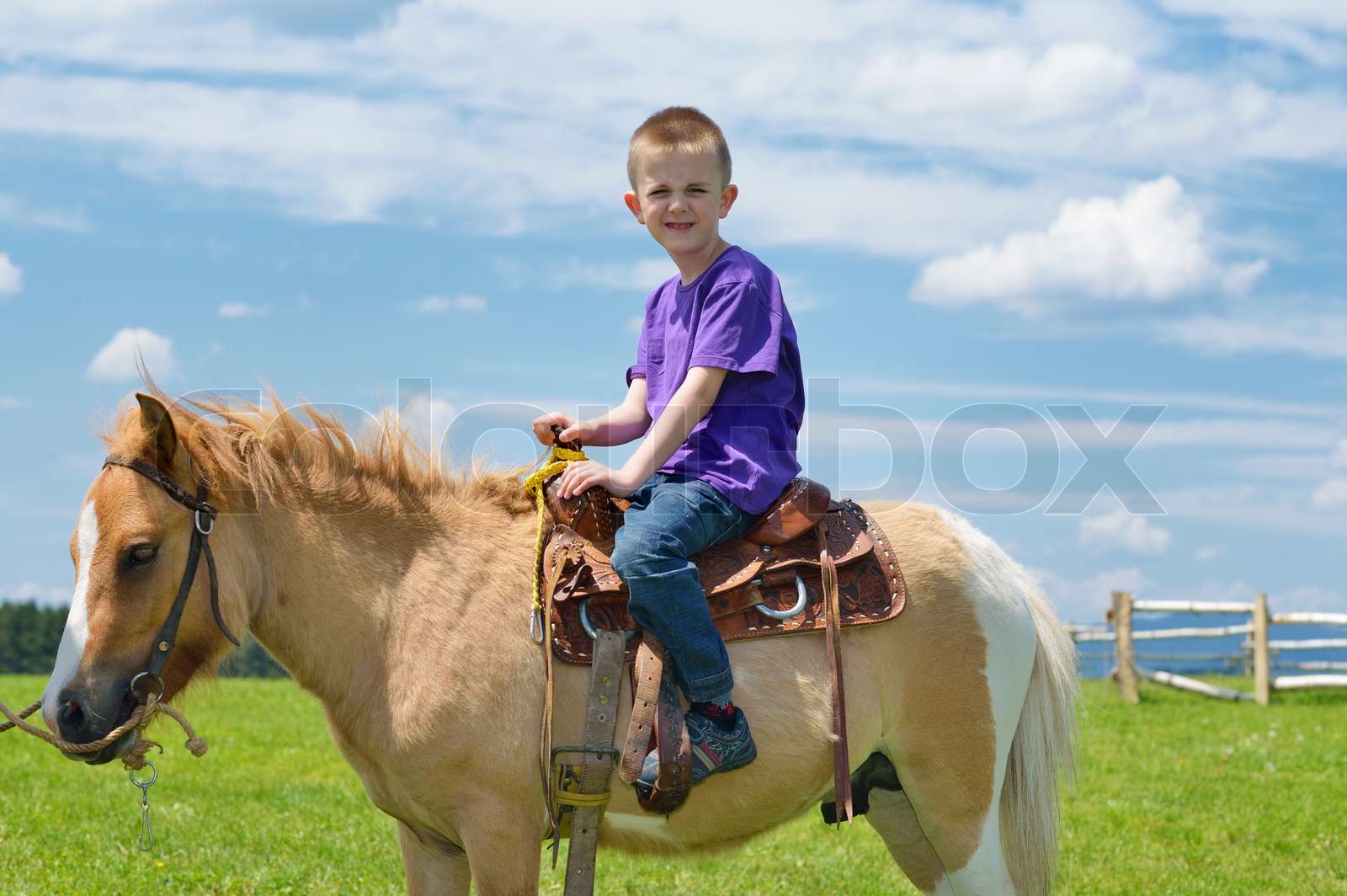 child ride pony | Stock image | Colourbox