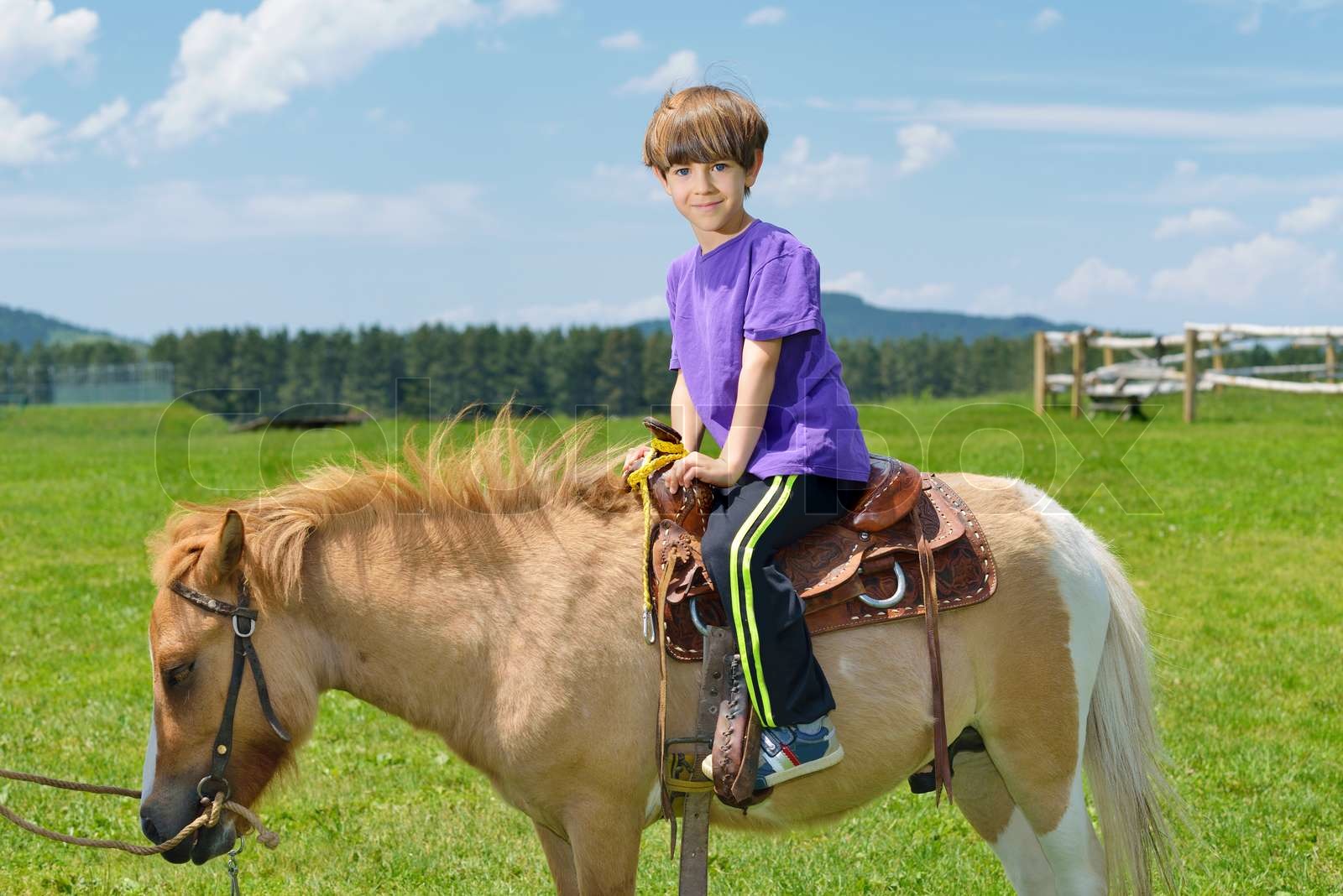 child ride pony | Stock image | Colourbox