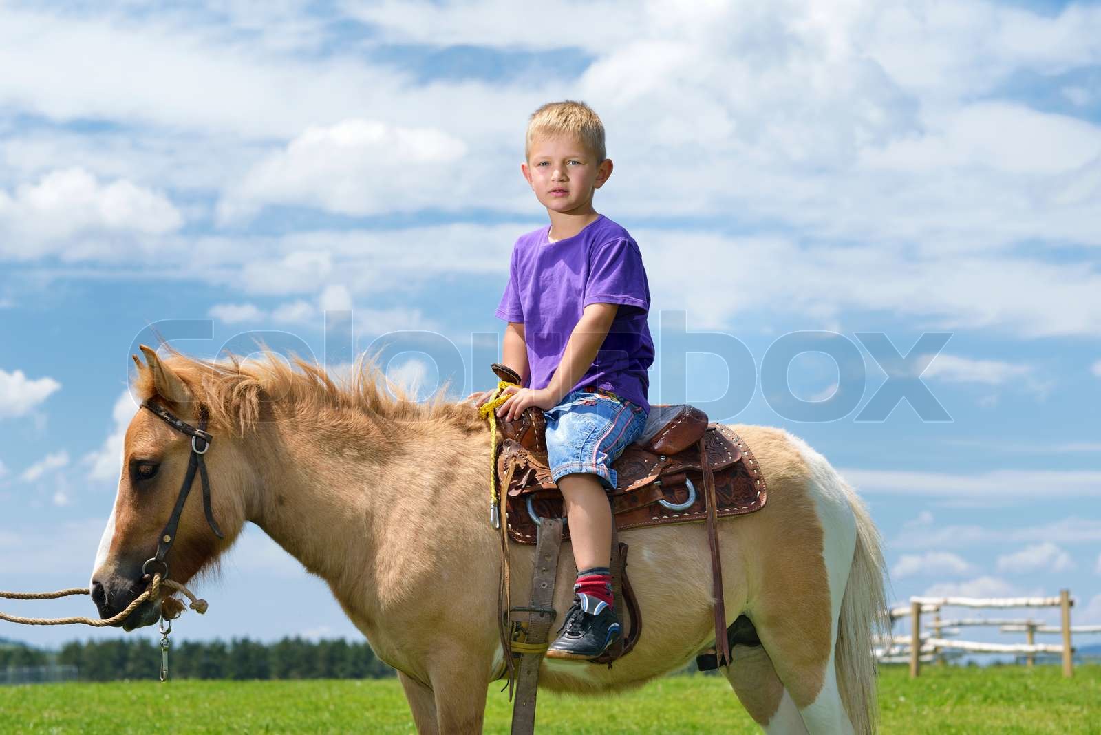 child ride pony | Stock image | Colourbox