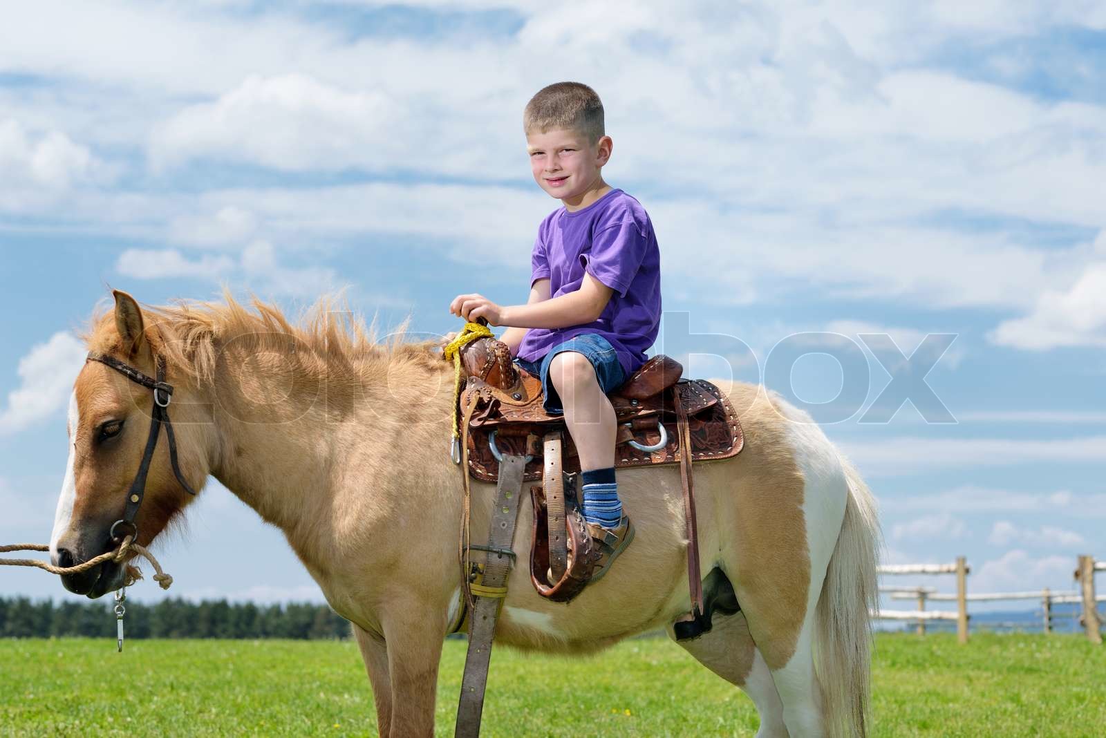 child ride pony | Stock image | Colourbox