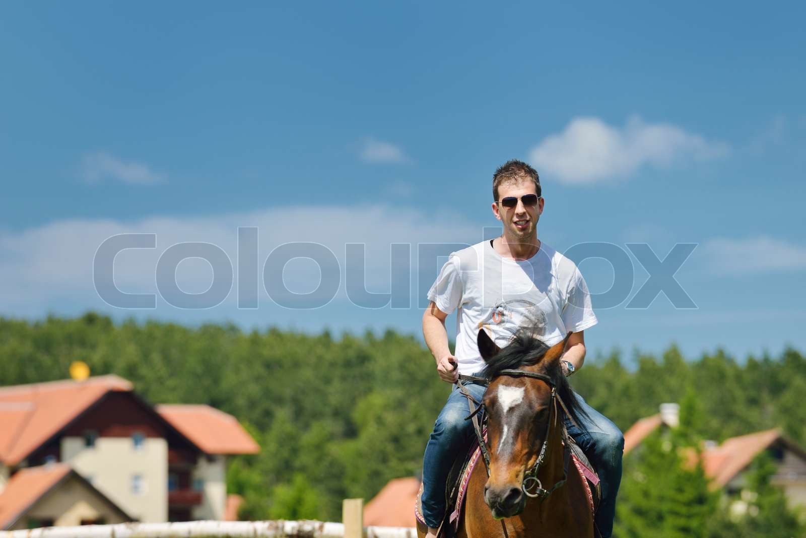 man ride horse | Stock image | Colourbox
