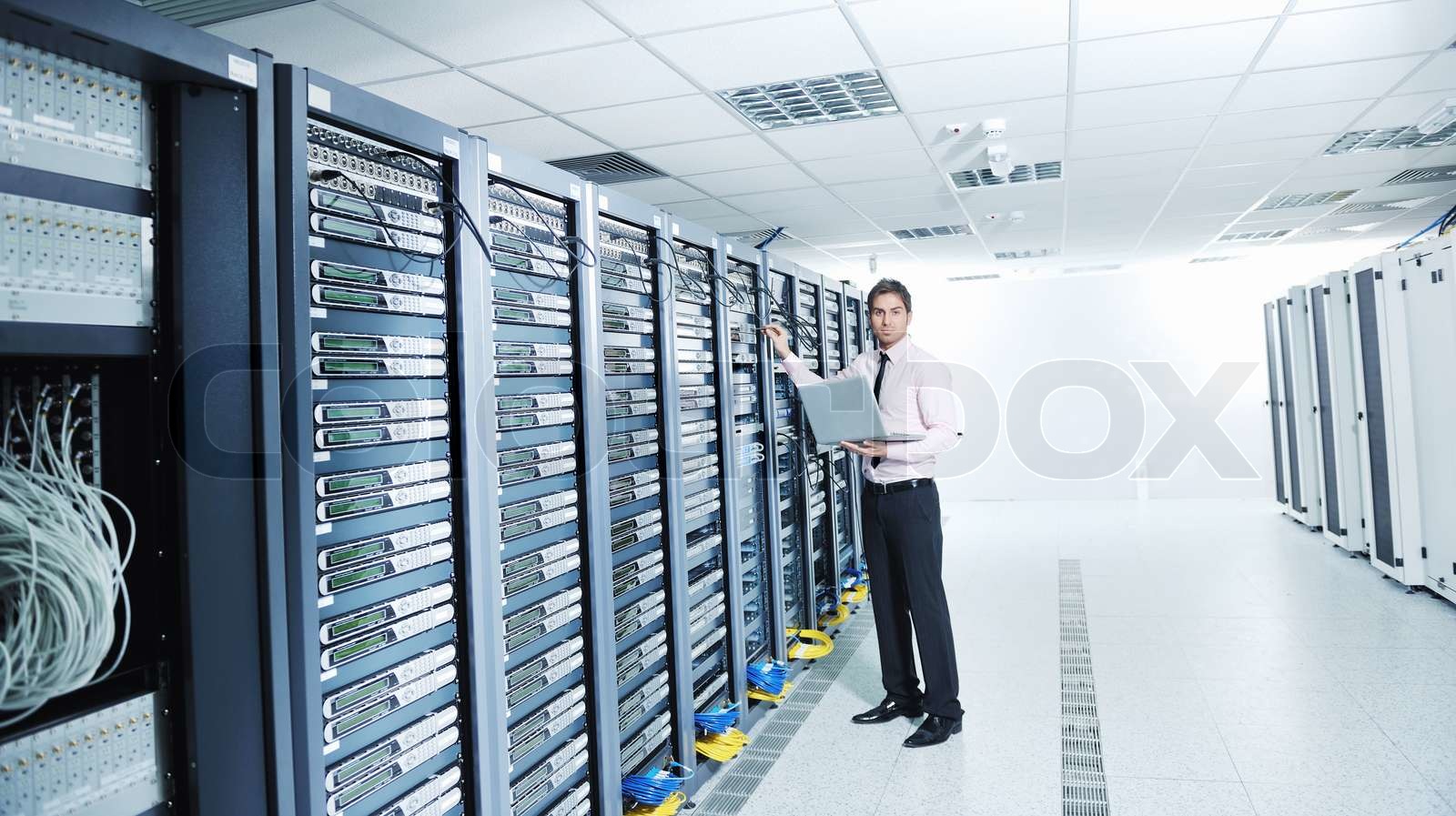 server, database, datacenter | Stock foto | Colourbox
