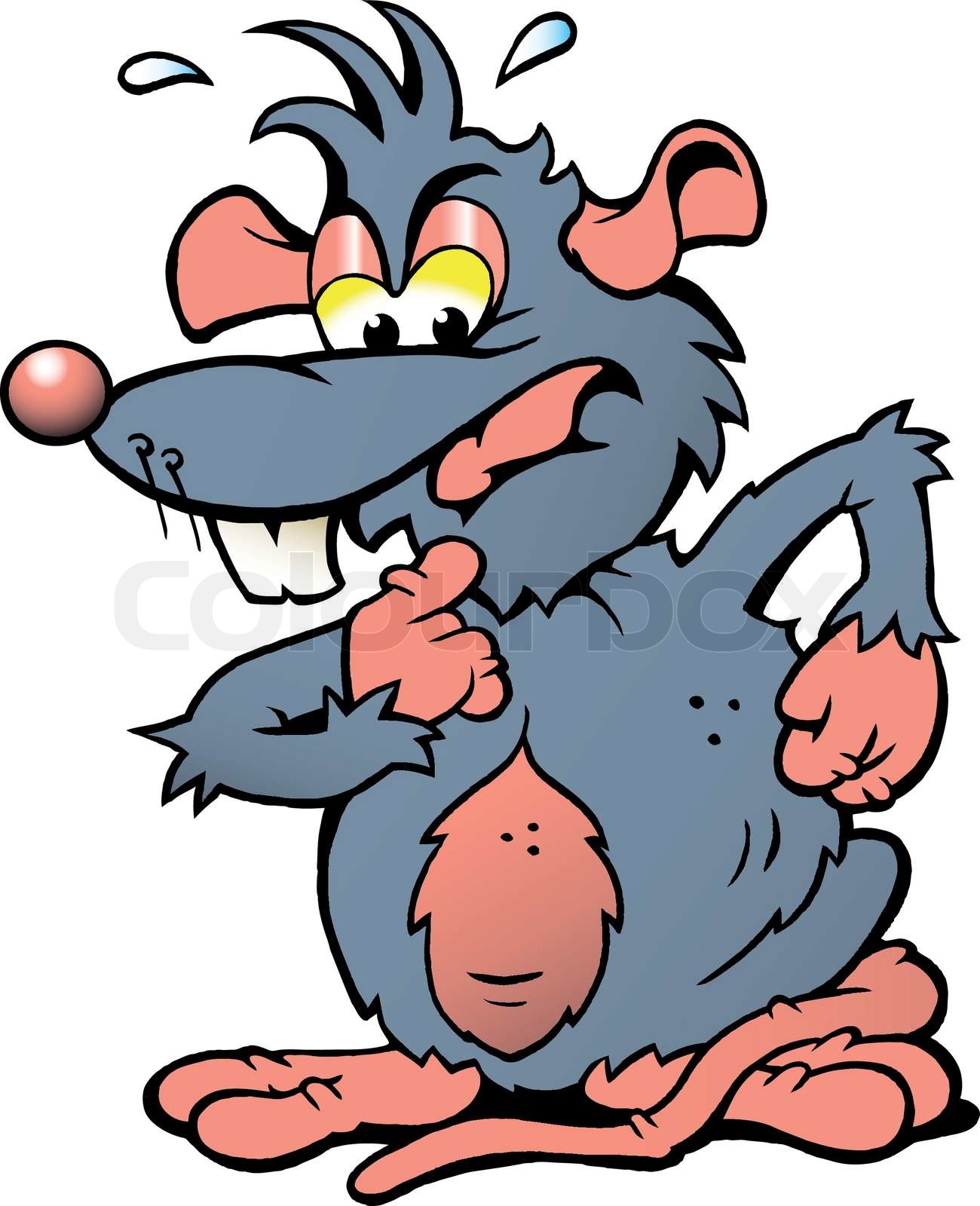 rotte, tegning, vred | Stock vektor | Colourbox