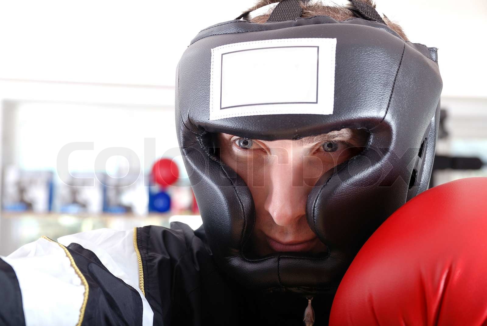 .boxer face closeup | Stock image | Colourbox