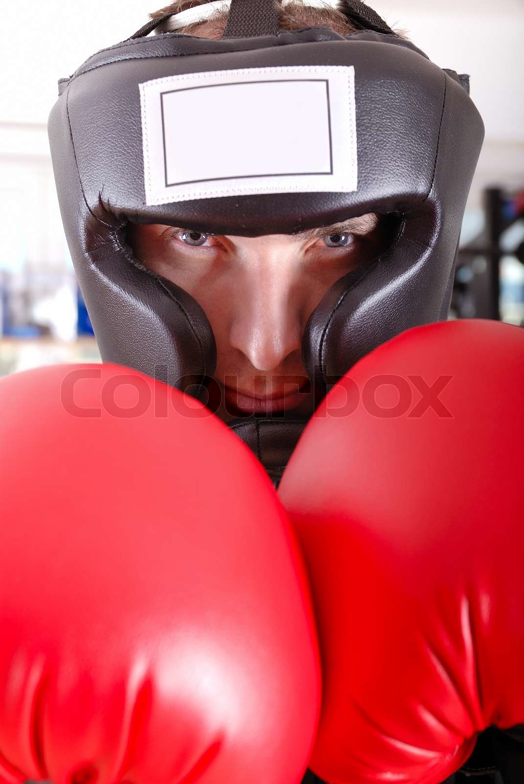 .boxer face closeup | Stock image | Colourbox
