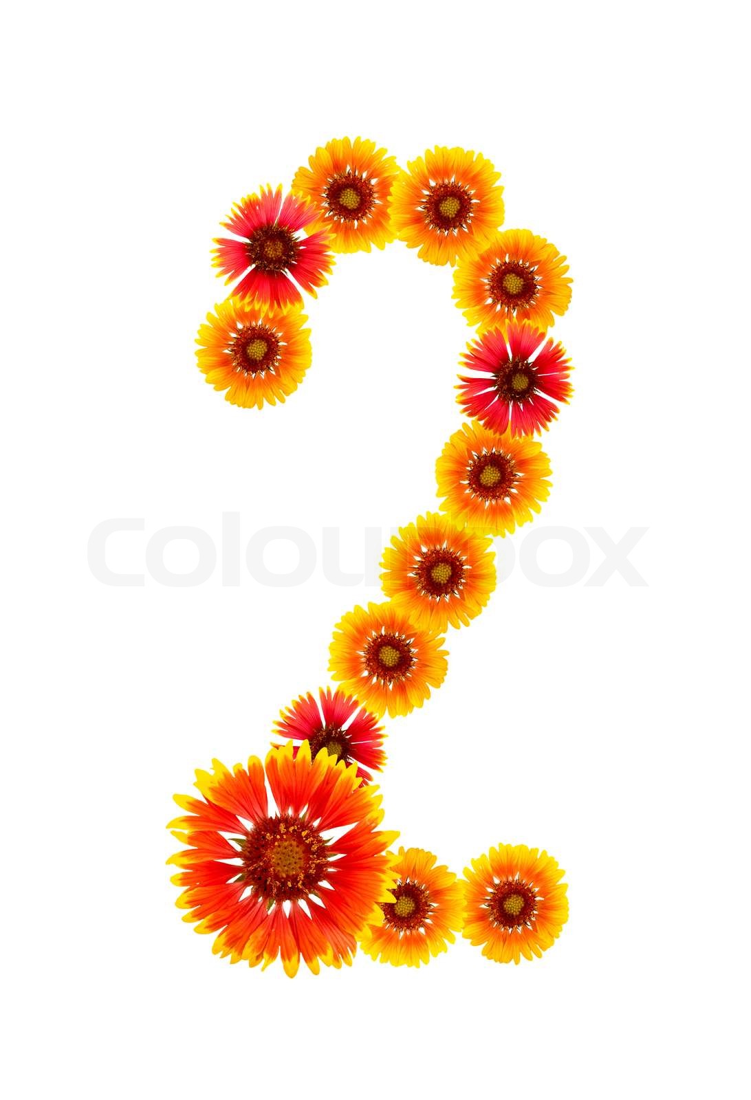 Zahl "2" von gelben Blumen auf weißem Hintergrund | Stock Bild | Colourbox