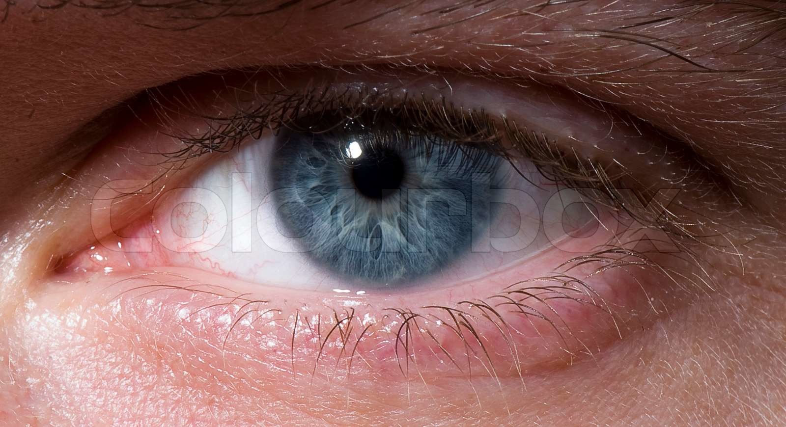 eye | Stock image | Colourbox