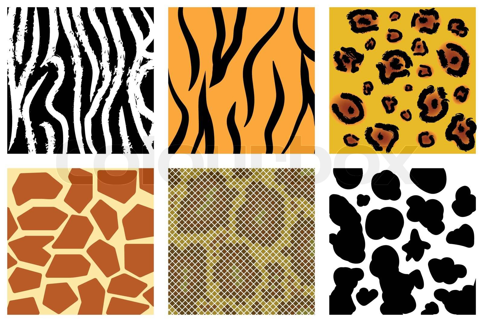 animal skin | Stock vector | Colourbox