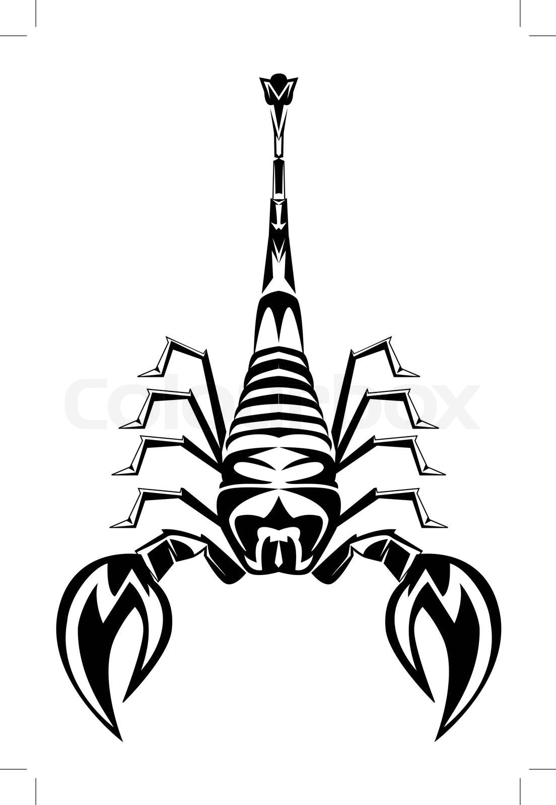 Scorpio vector | Stock vector | Colourbox