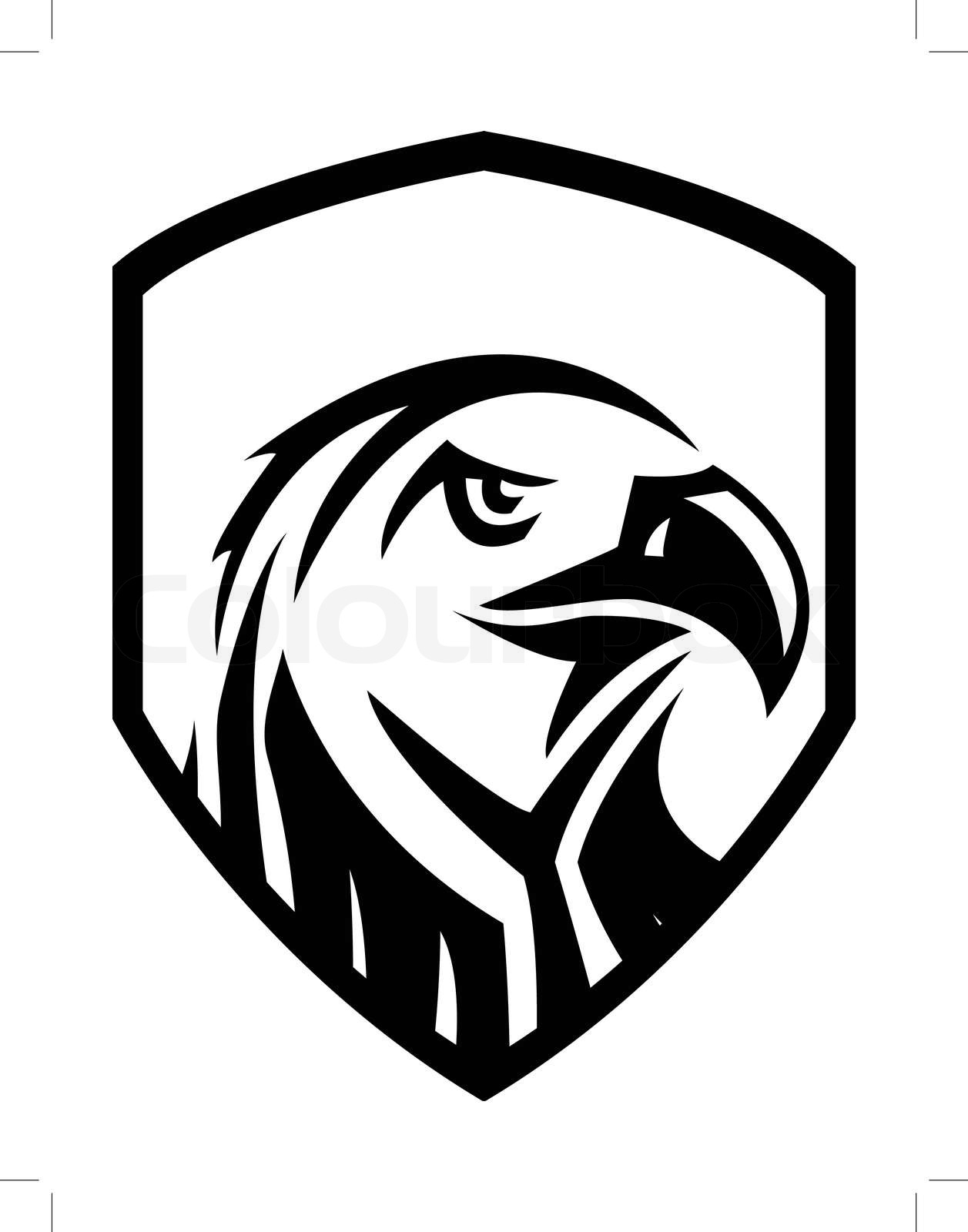 Adlerkopf | Stock-Vektor | Colourbox