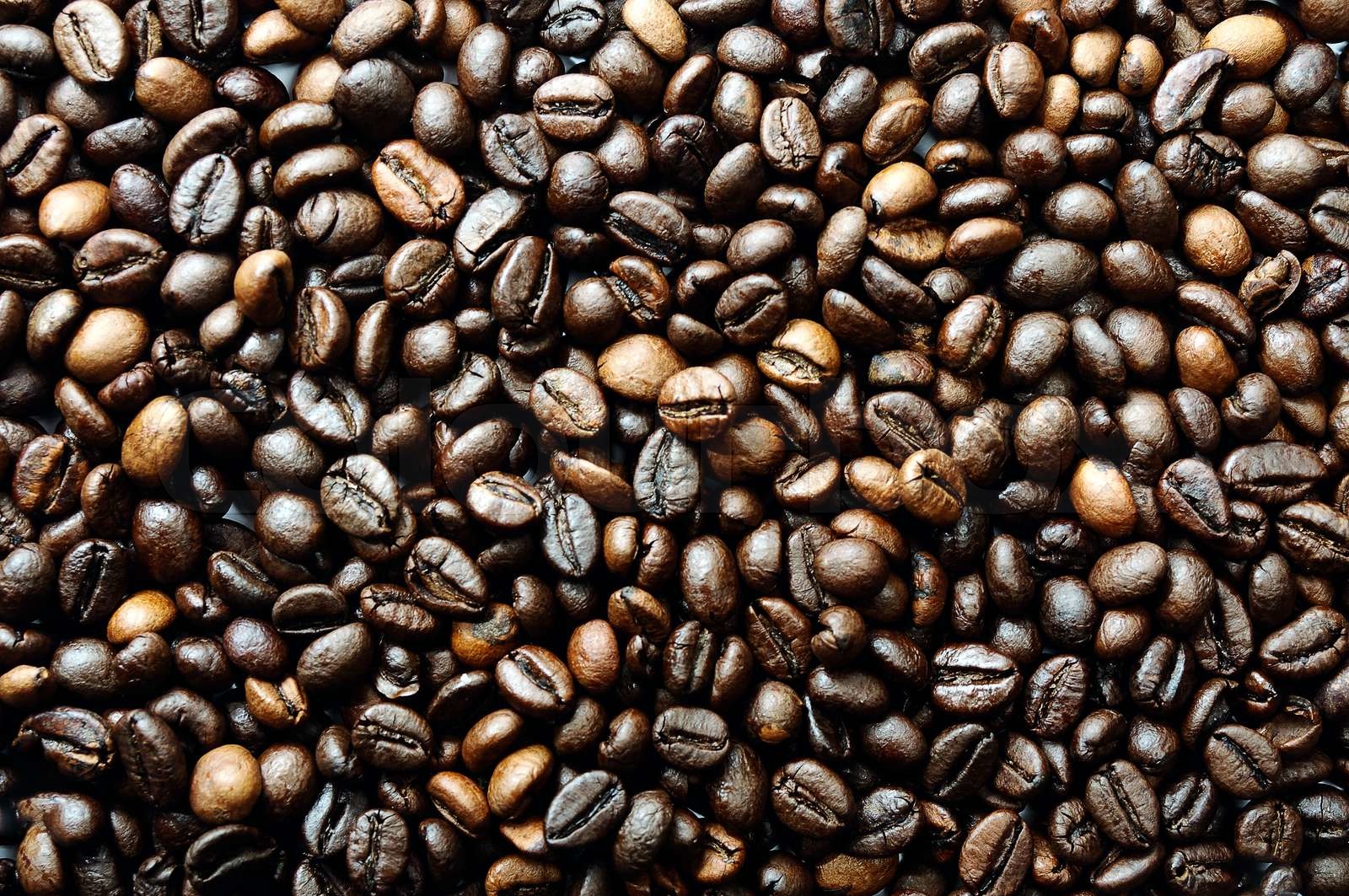 coffee beens | Stock image | Colourbox
