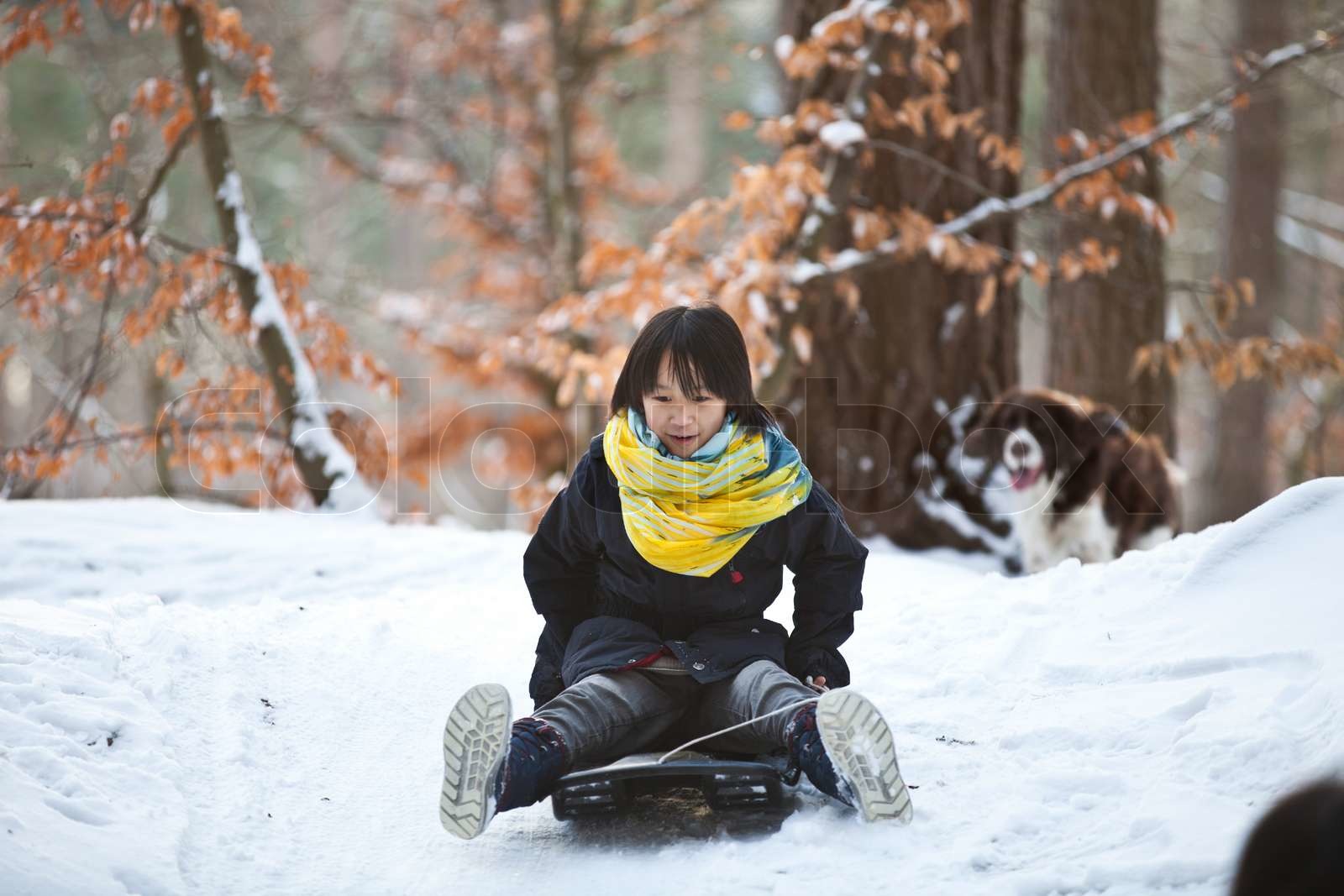 Girl sledging | Stock image | Colourbox