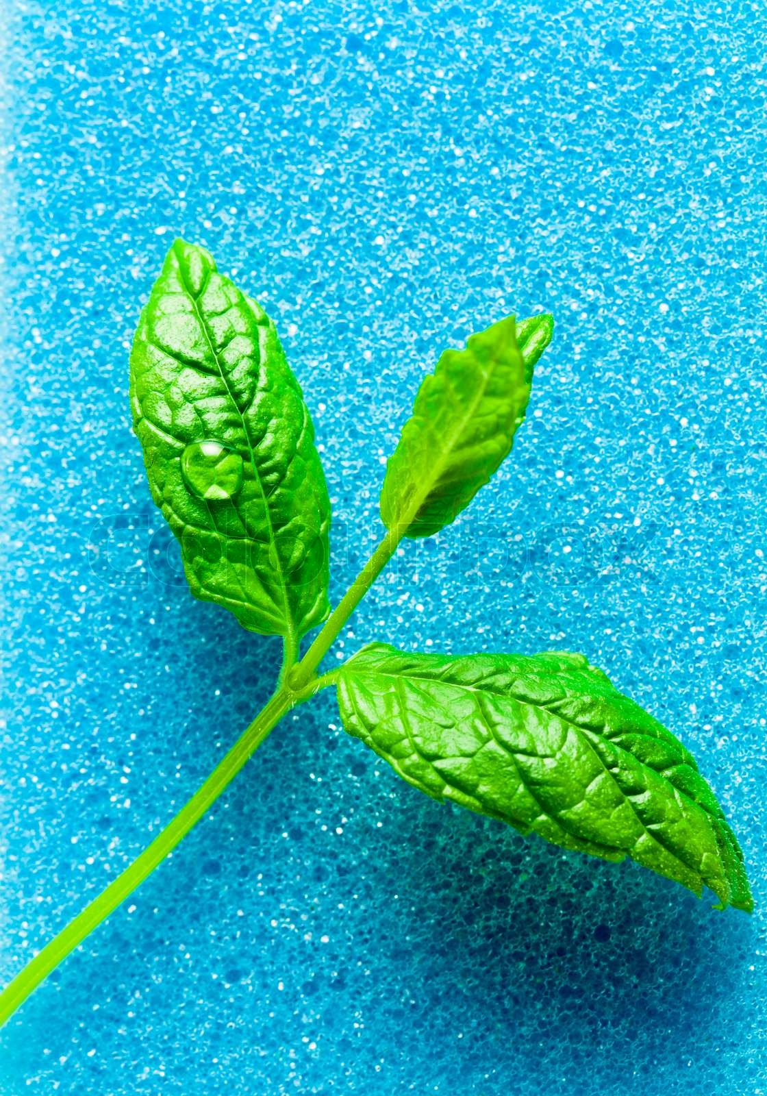 freshness and purity | Stock image | Colourbox