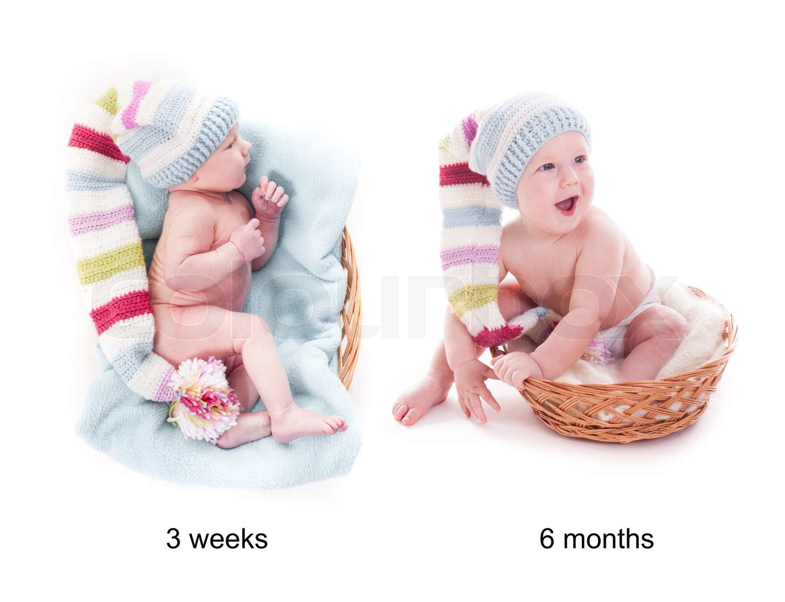 Baby's grow | Stock image | Colourbox