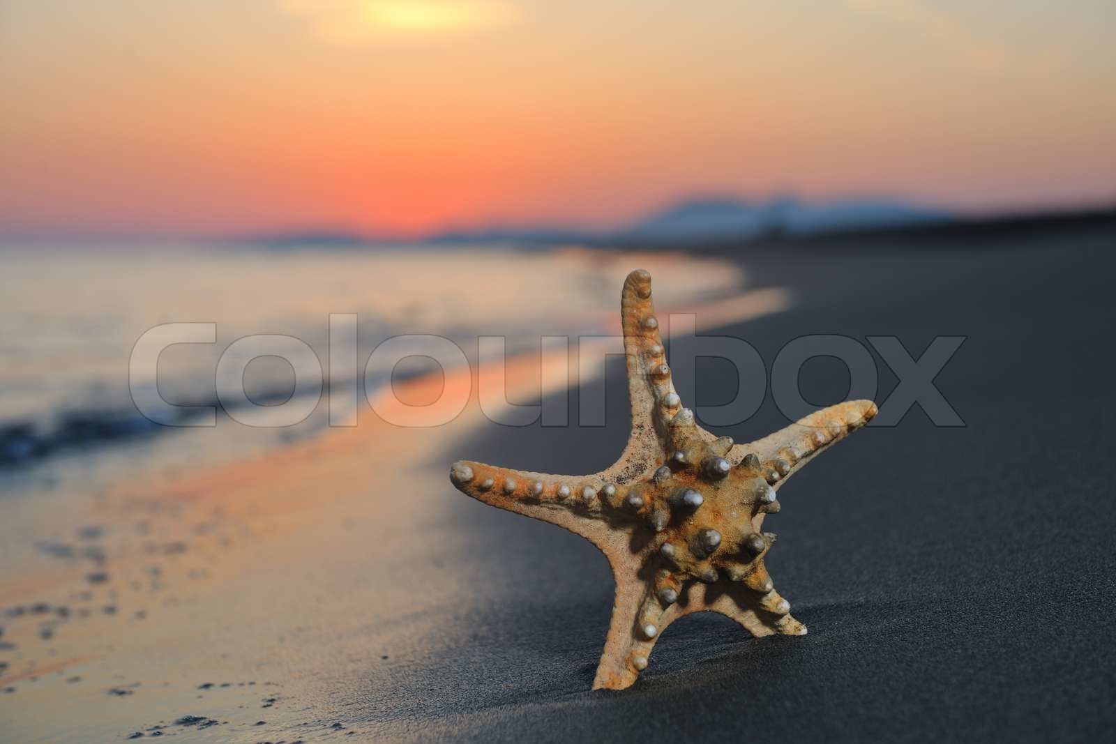 summer beach sunset with star on beach | Stock image | Colourbox