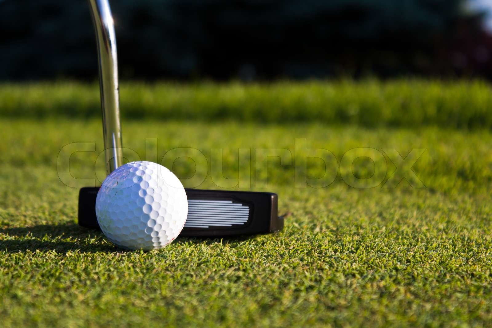 Golf ball and putter on the green | Stock image | Colourbox