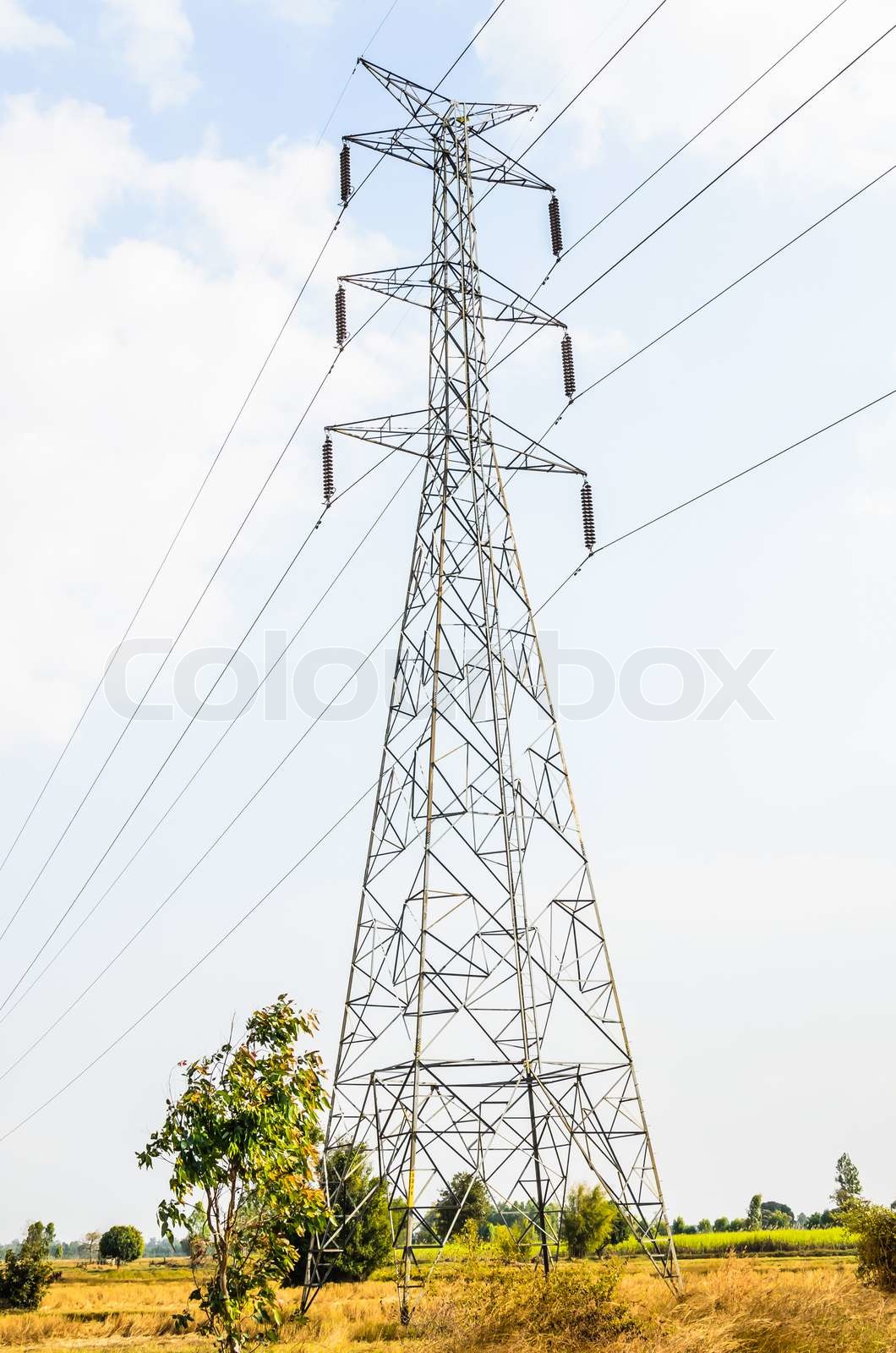 Electric post | Stock image | Colourbox