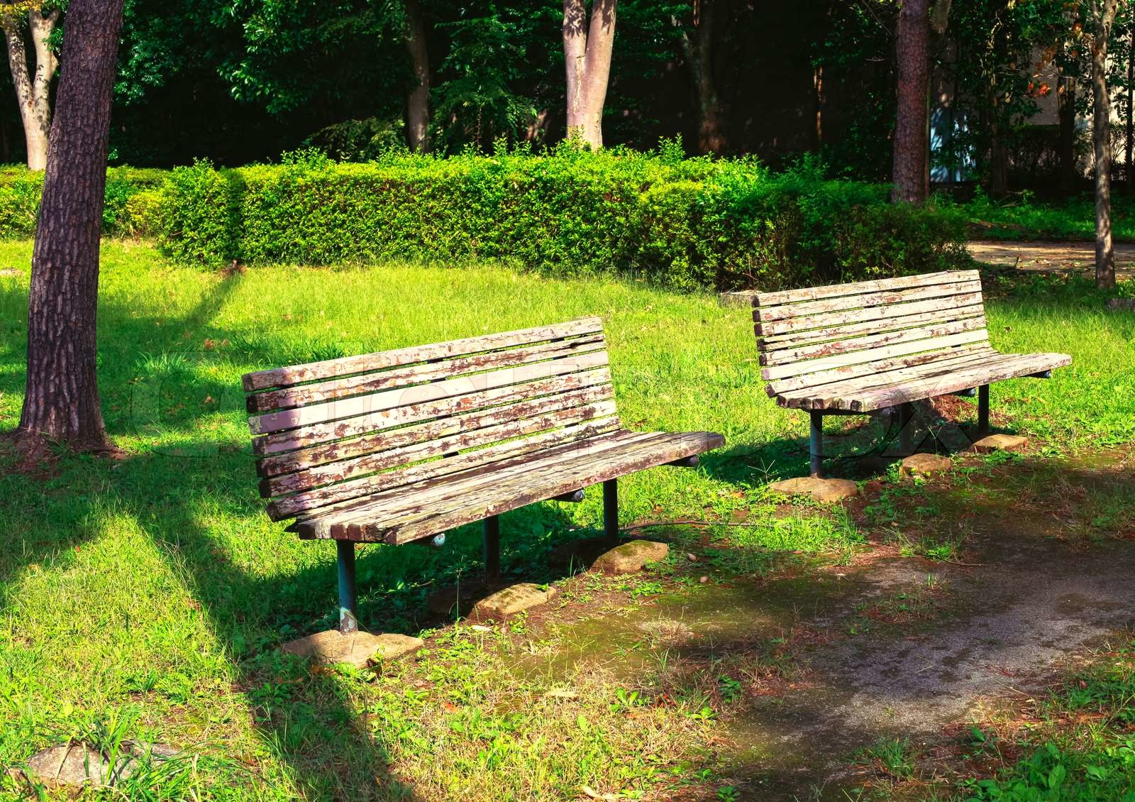 Old two benches in an urban park - Stock Image - Everypixel