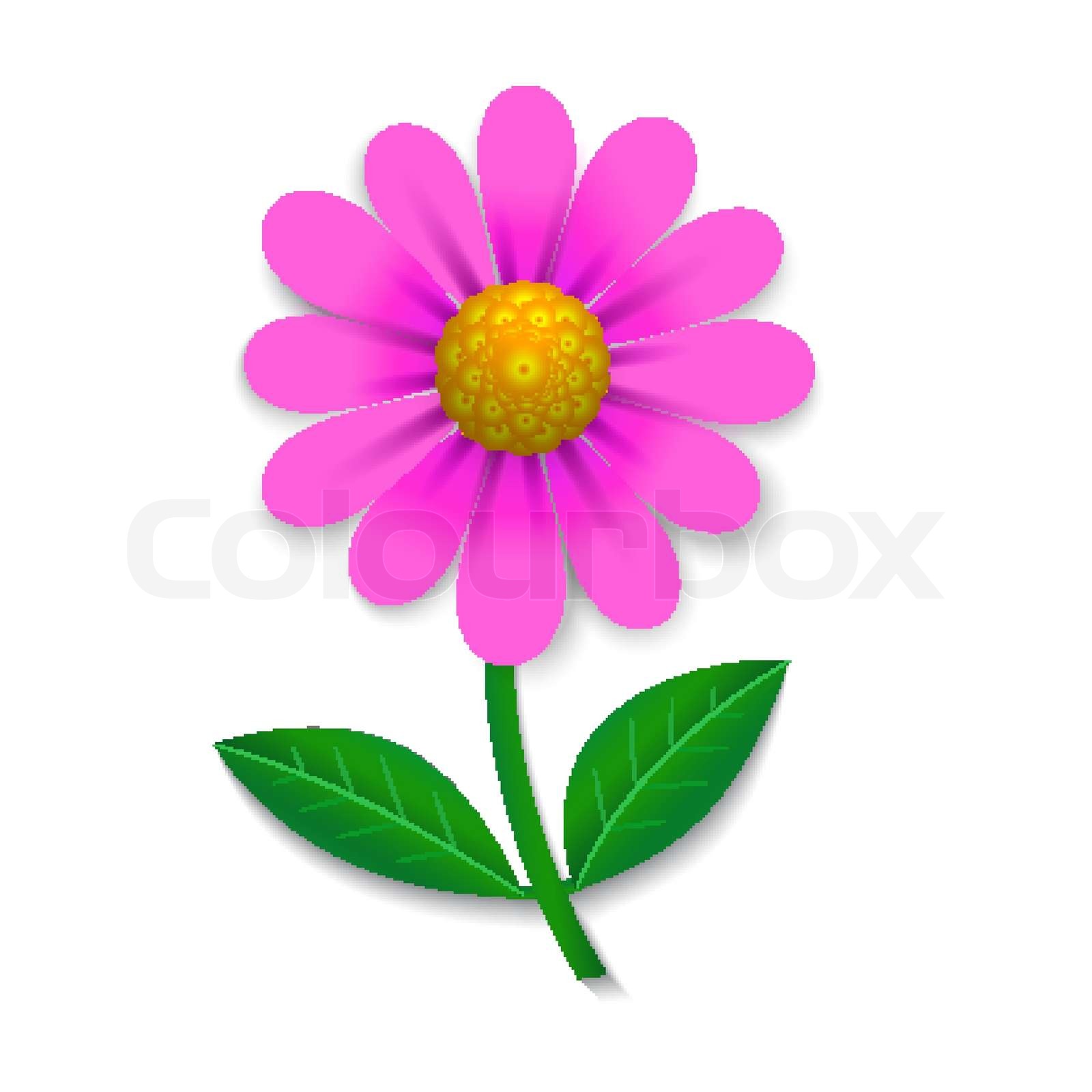 rosa Blume | Stock-Vektor | Colourbox