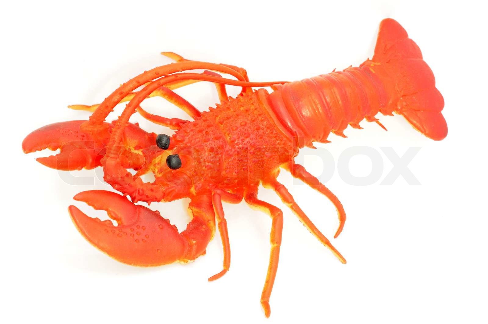 Toy of lobster | Stock image | Colourbox