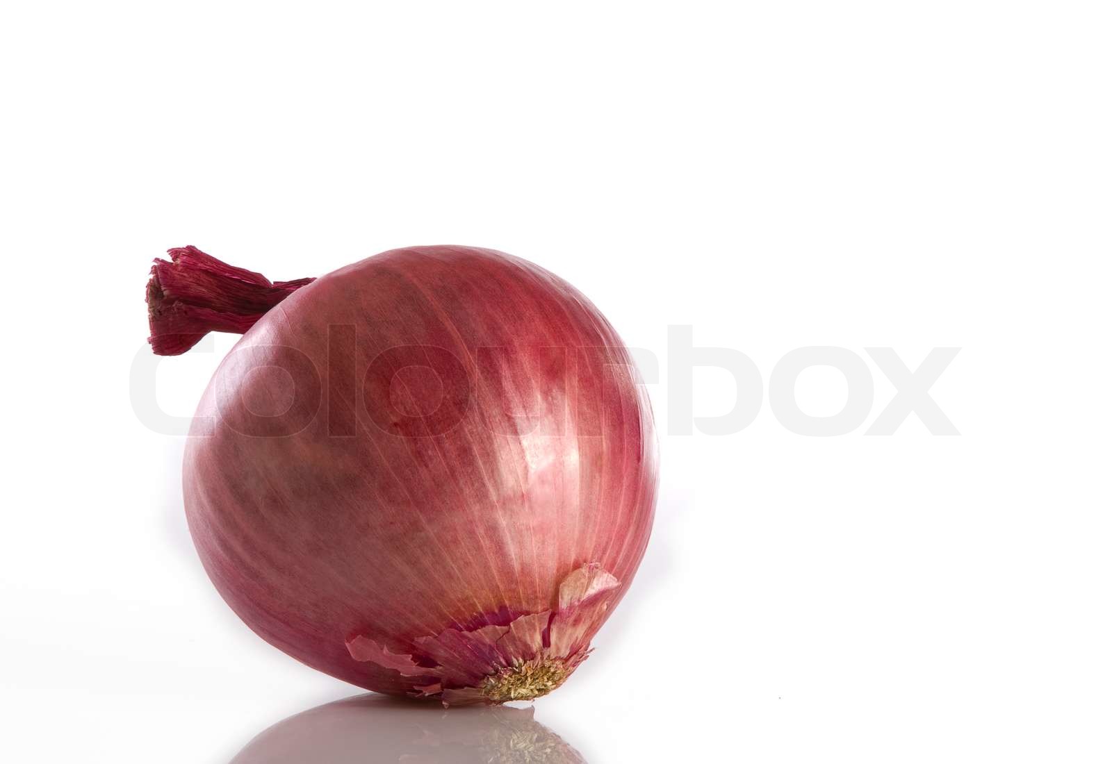 onion | Stock image | Colourbox