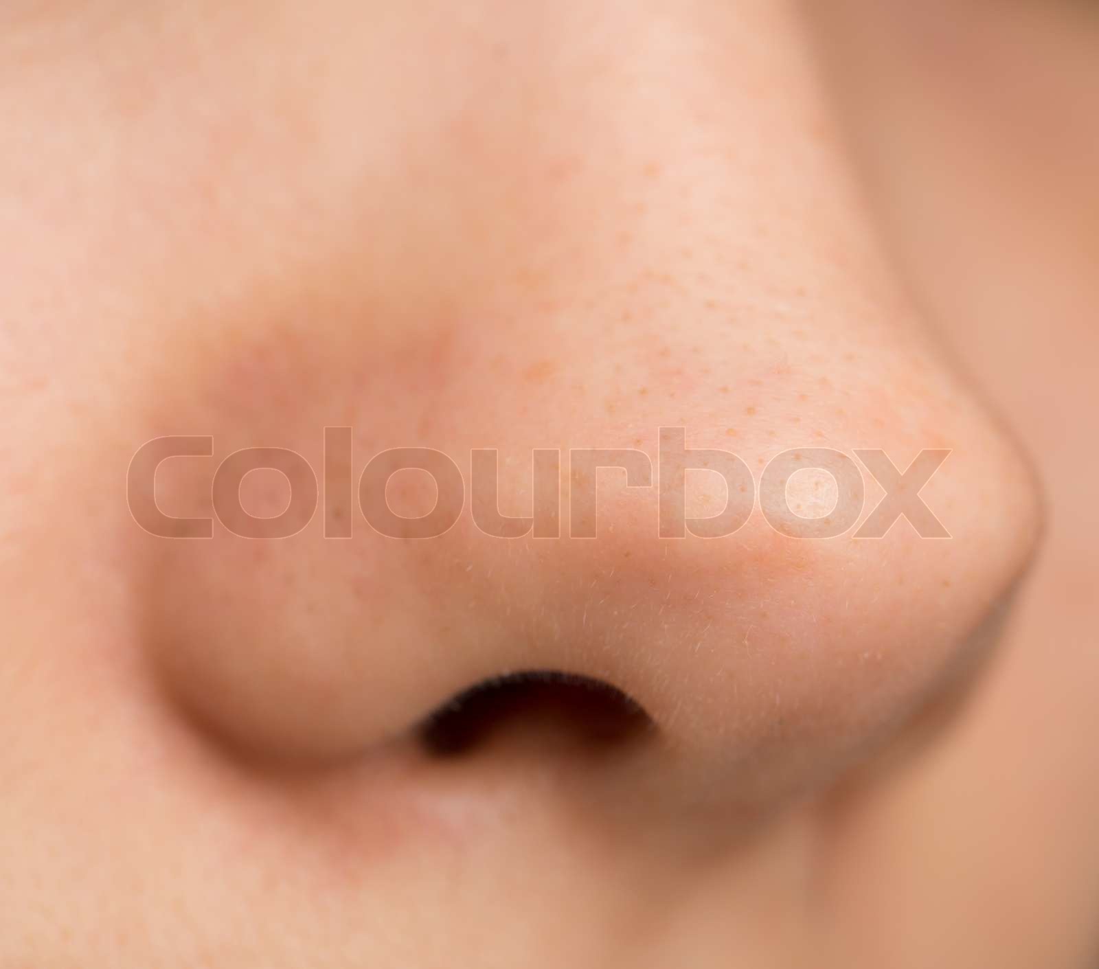 Nase Mädchen. Makro | Stock Bild | Colourbox