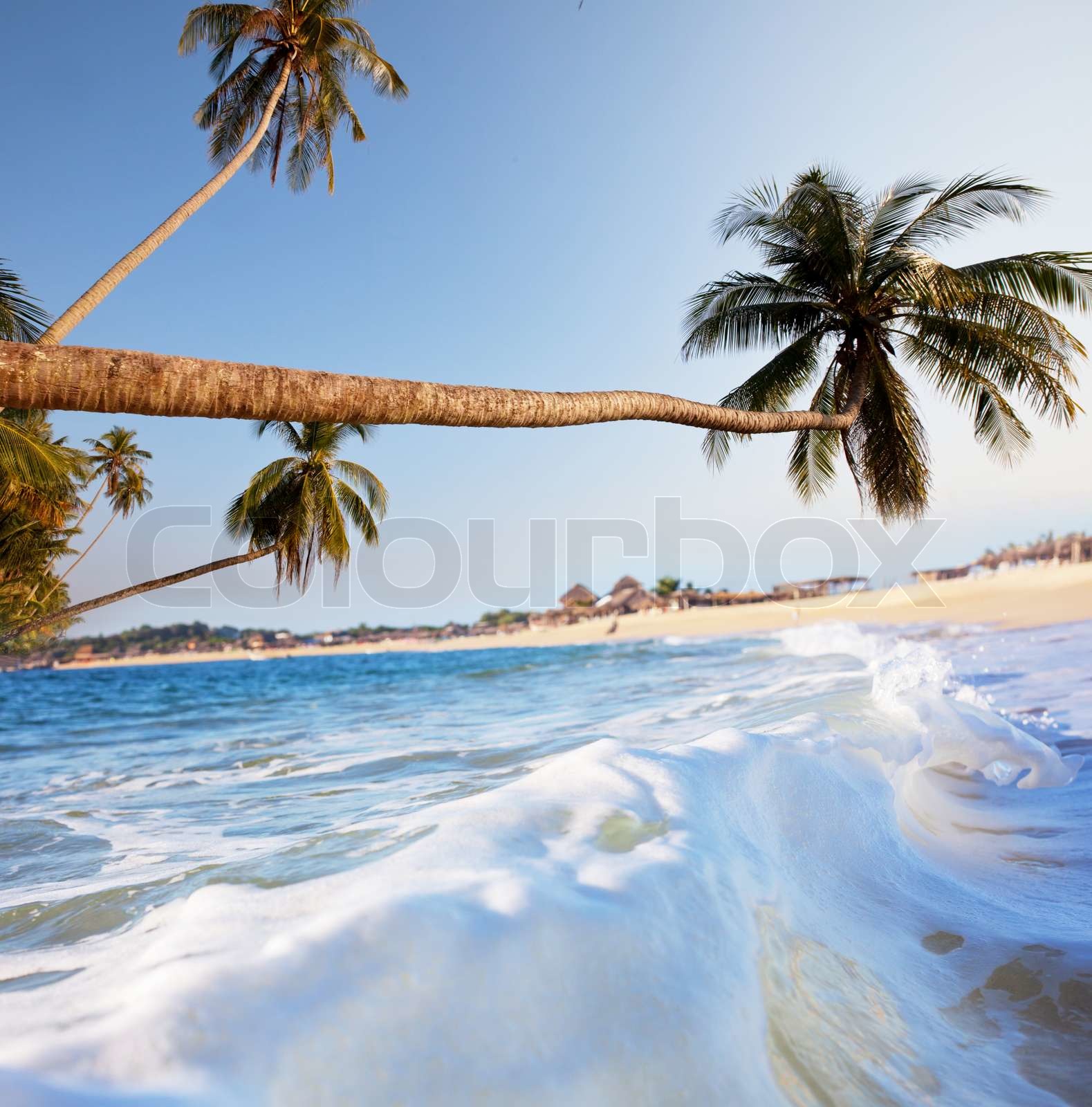 Tropical beach | Stock image | Colourbox