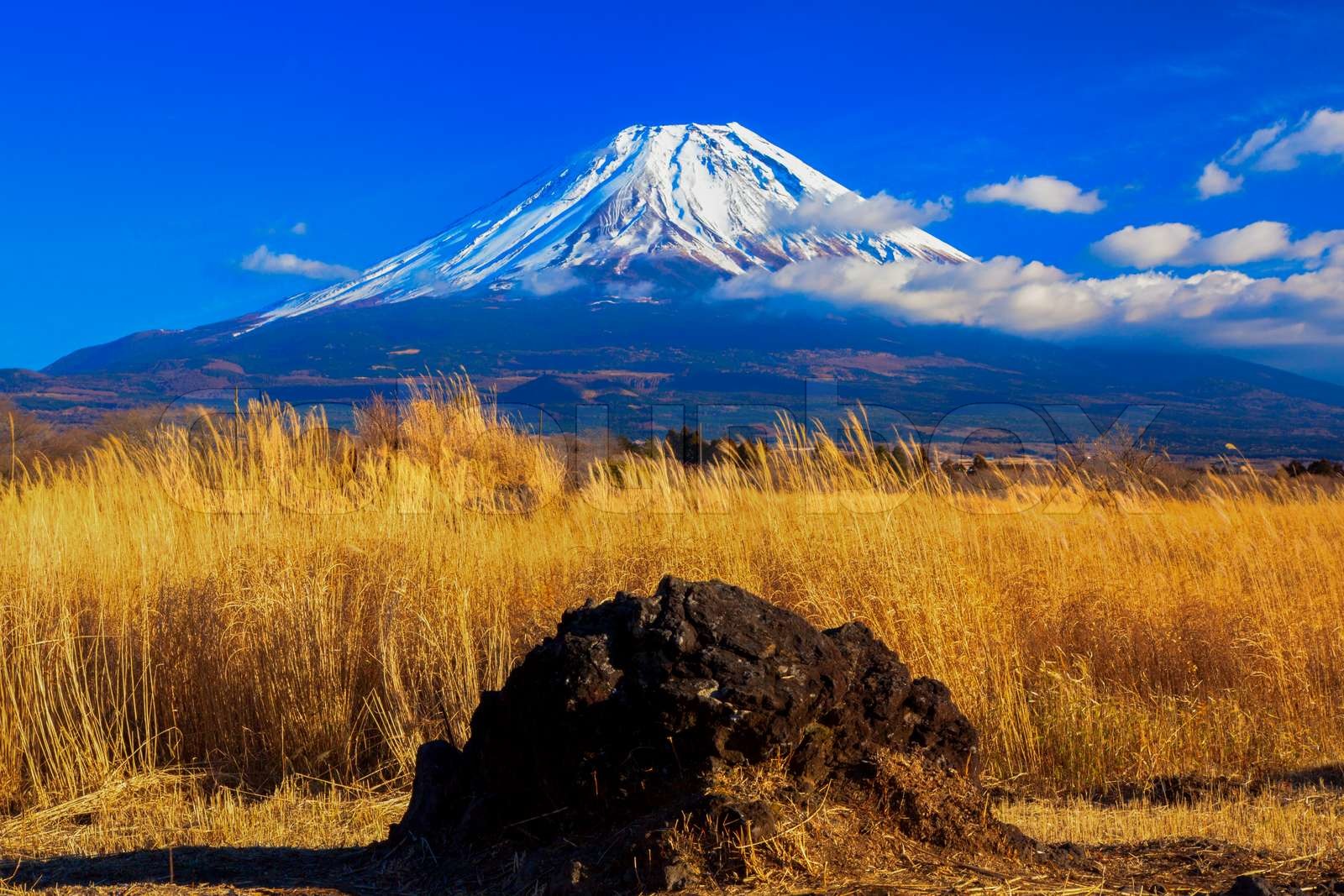 Mount Fuji and volcanic rock in Asagiri Plateau | Stock image | Colourbox