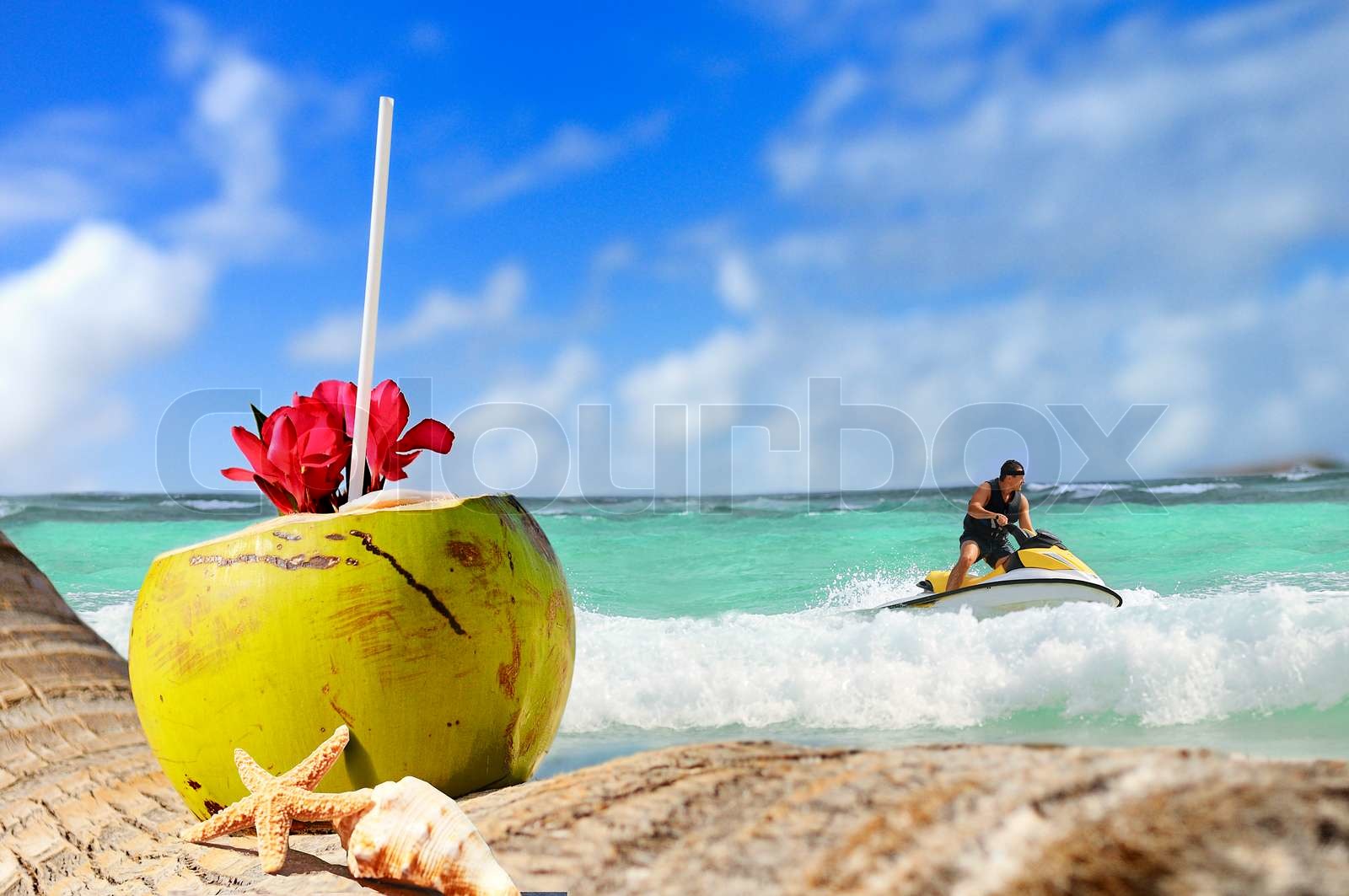 coconuts on the beach | Stock image | Colourbox