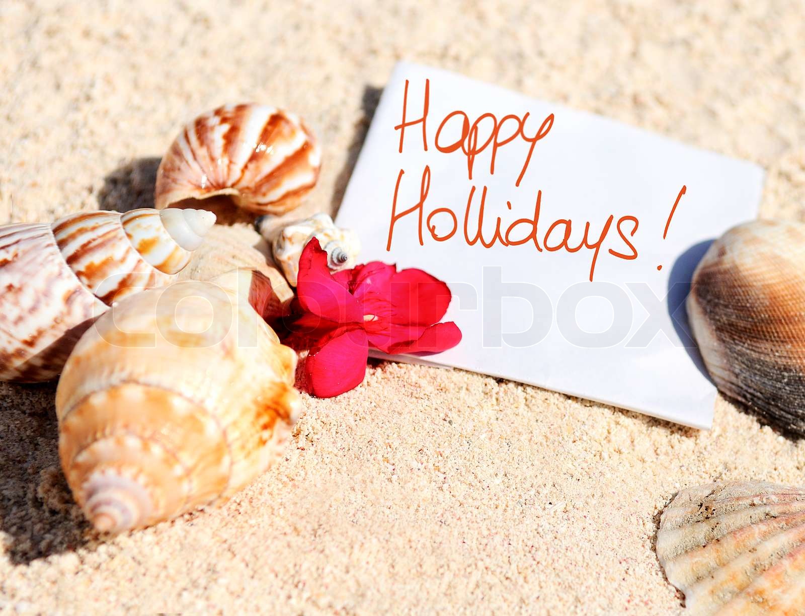 happy hollidays | Stock image | Colourbox