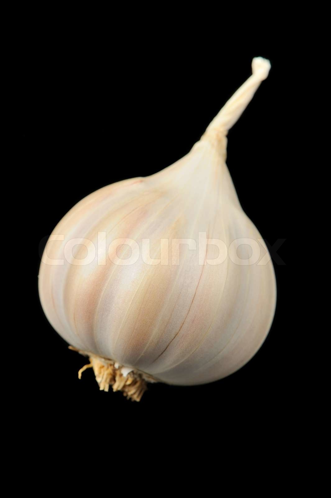 Garlic on Black Background | Stock image | Colourbox