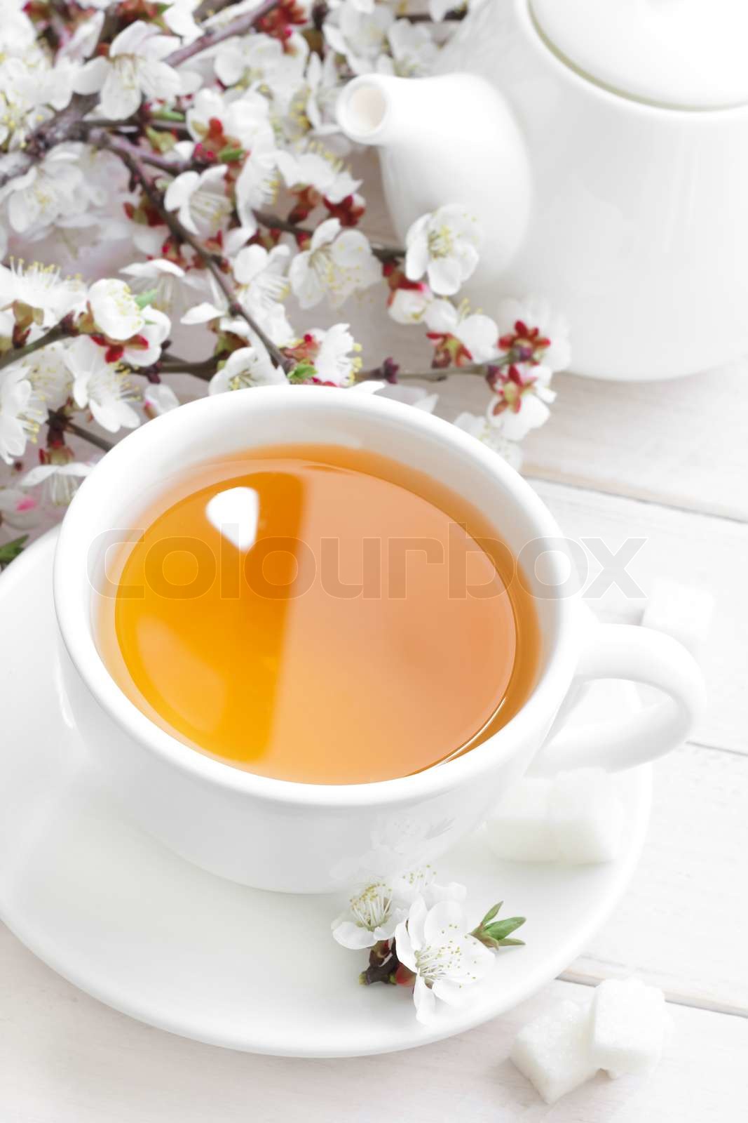 Tea | Stock image | Colourbox