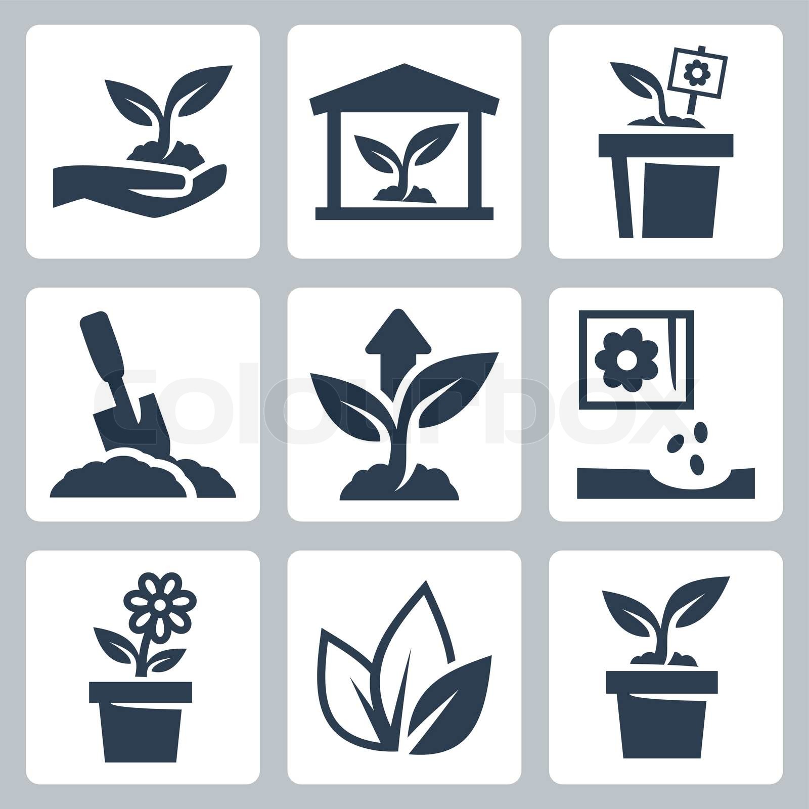 Vektor Pflanzenanbau Icons set | Stock-Vektor | Colourbox