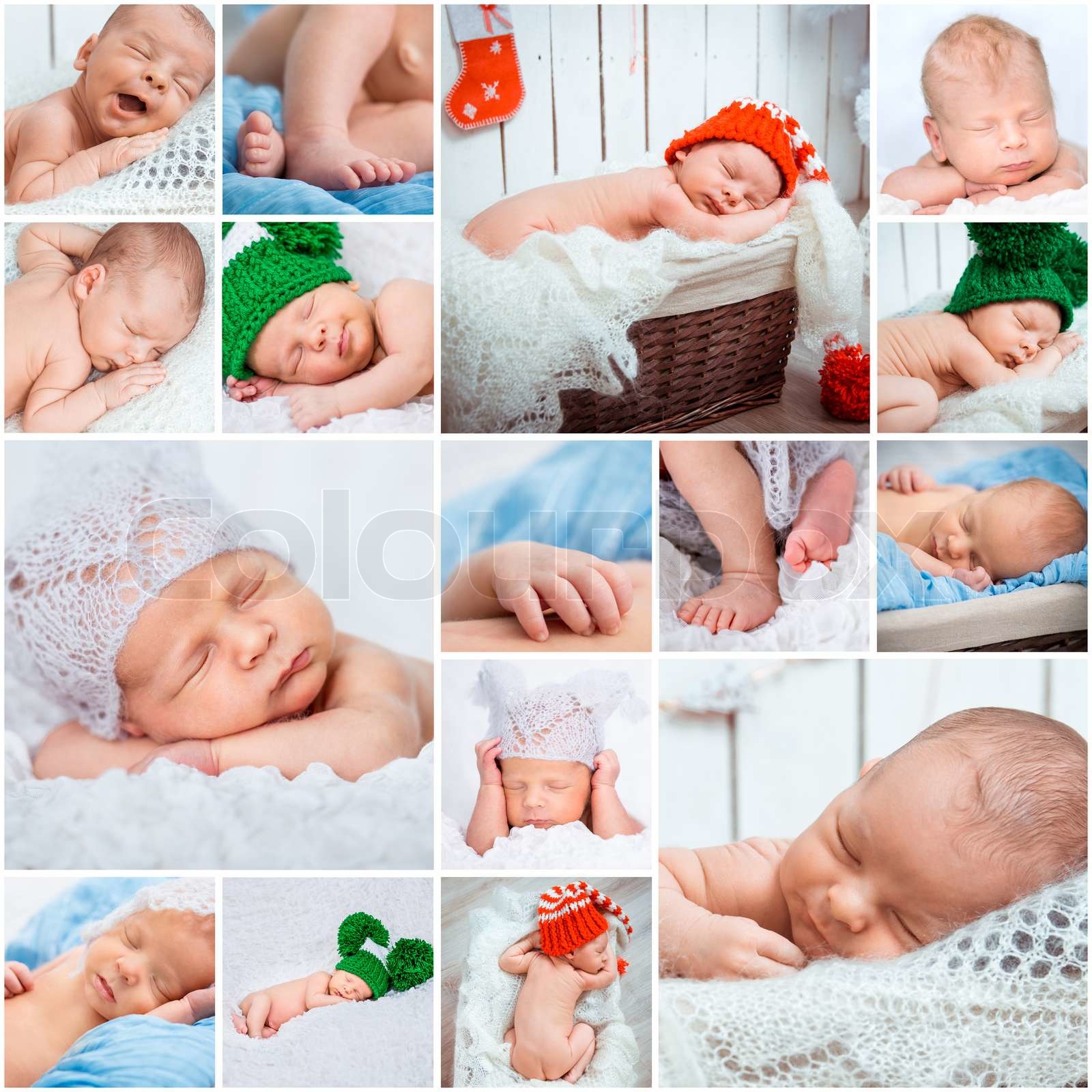 newborn babies photos set | Stock image | Colourbox