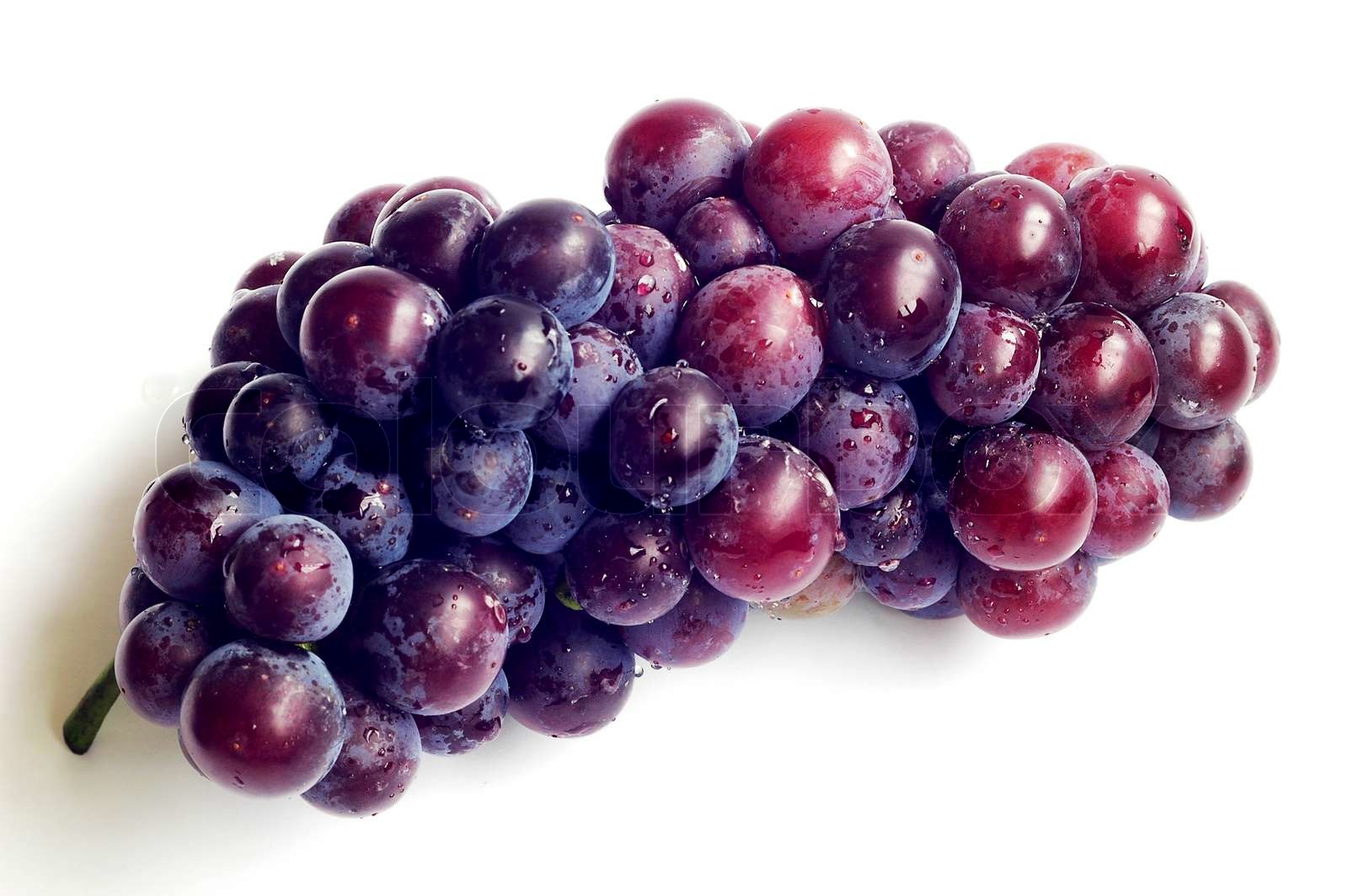 Grape fruits | Stock image | Colourbox
