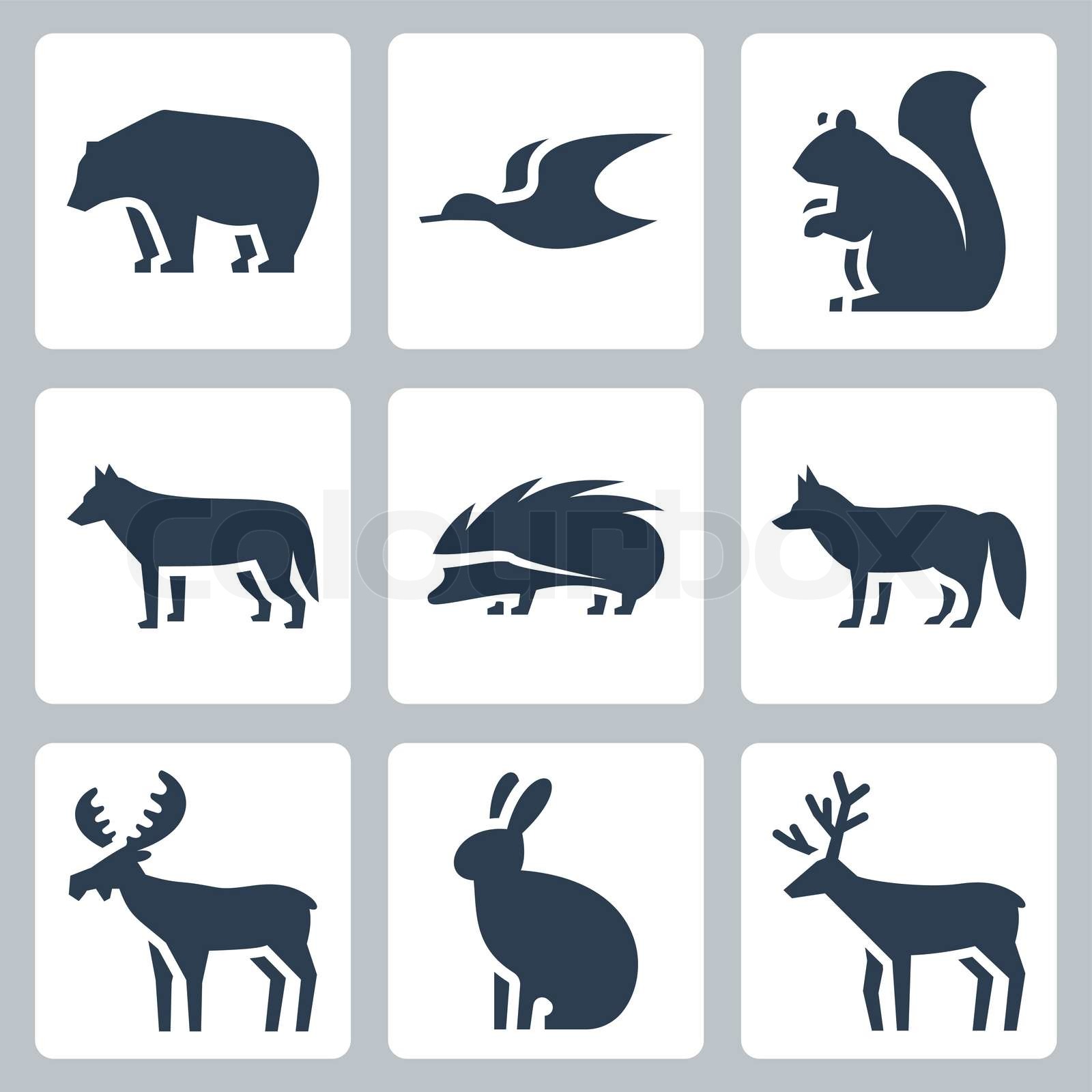 Vektor Wald Tiere Icons set | Stock-Vektor | Colourbox