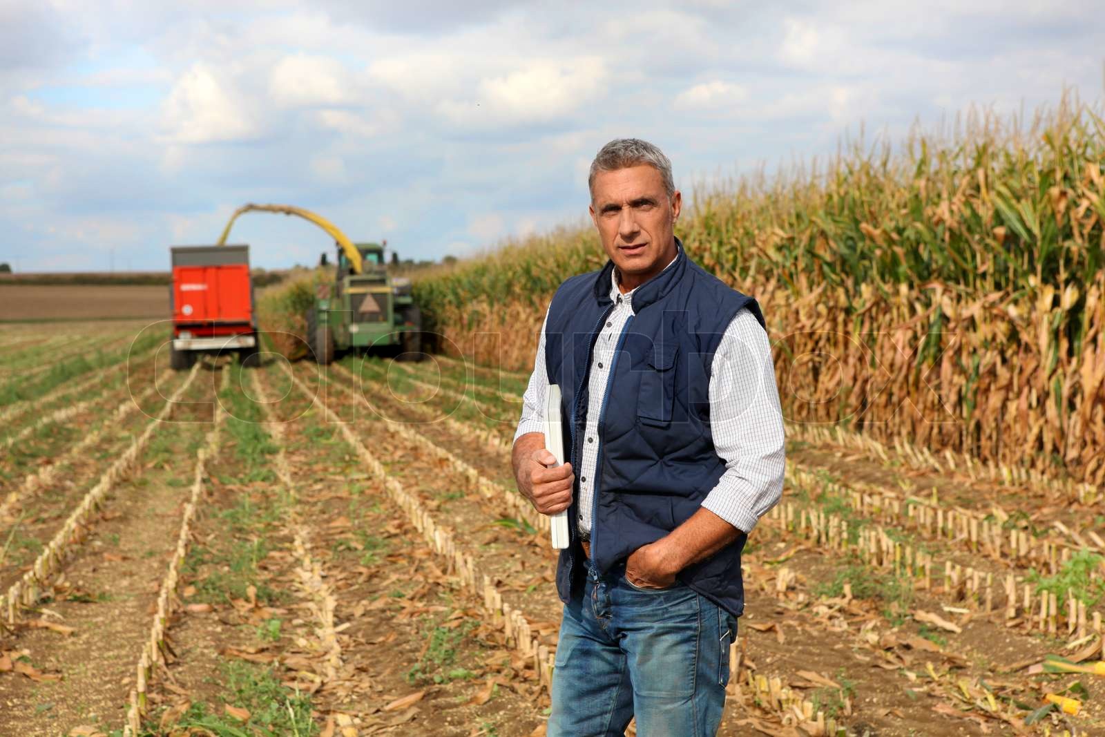 Farmer posing in his field | Stock image | Colourbox