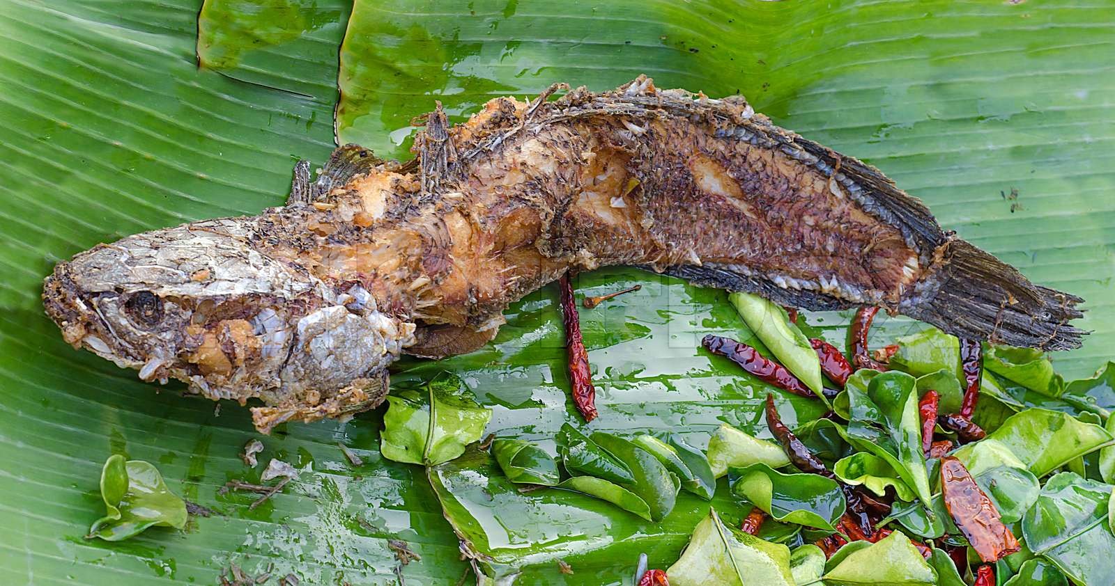 Deep Fried Snakehead Fish with Herb | Stock image | Colourbox