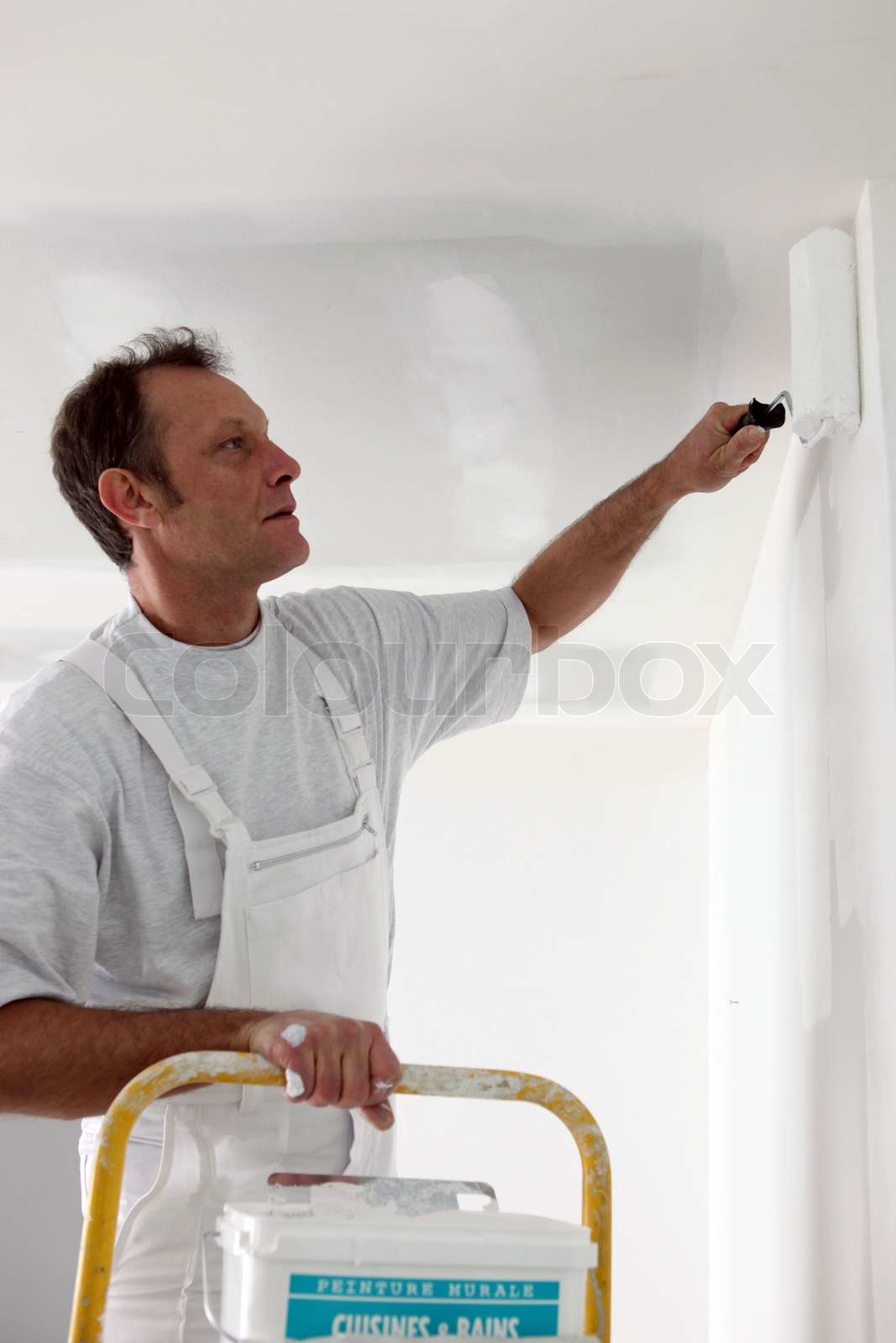 Maler bei der Arbeit mit Walze | Stock Bild | Colourbox
