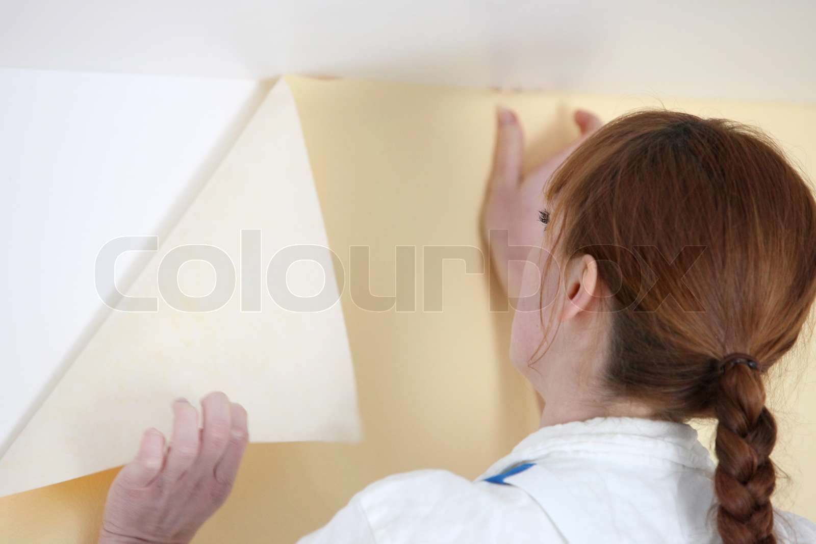Woman putting up wallpaper | Stock image | Colourbox