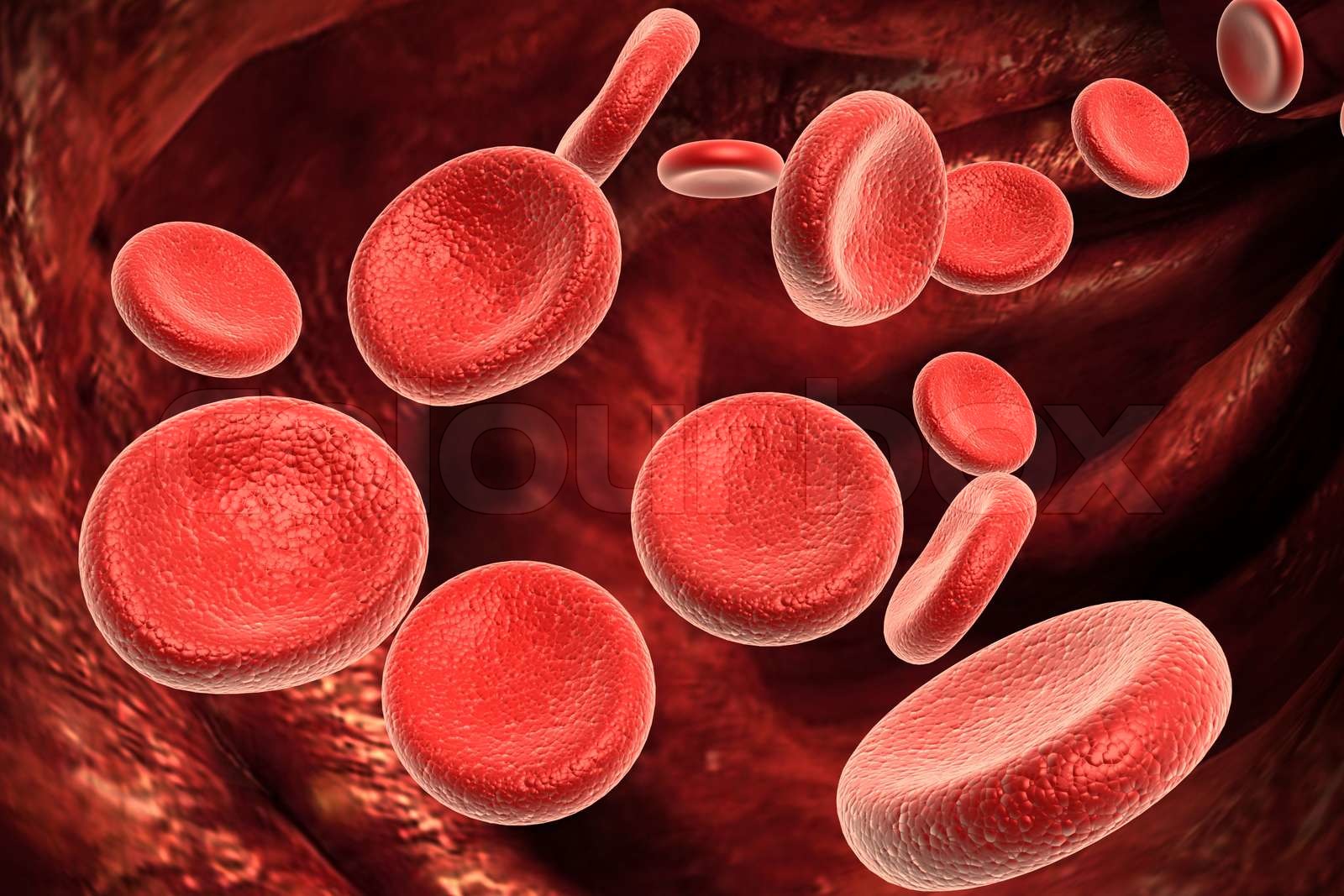 Streaming Blutzellen | Stock Bild | Colourbox